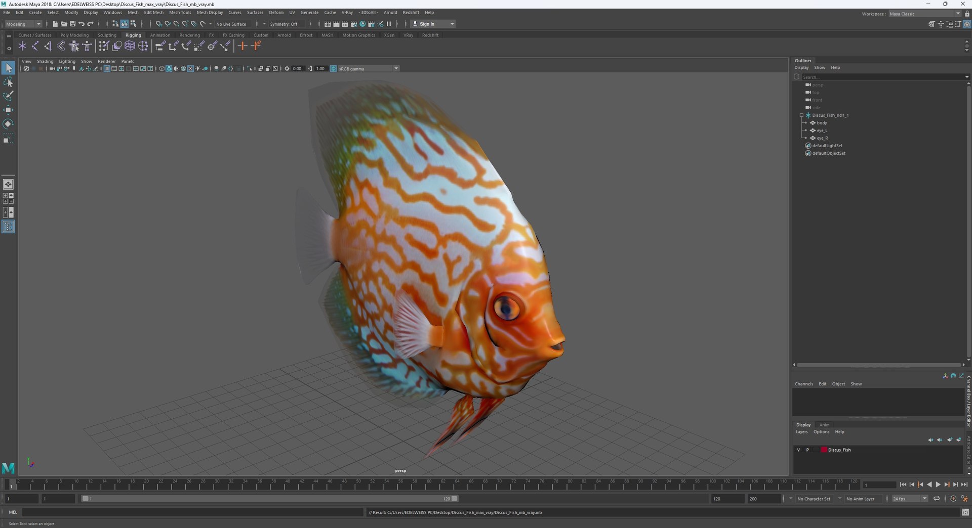 3D Discus Fish Model - TurboSquid 2322905