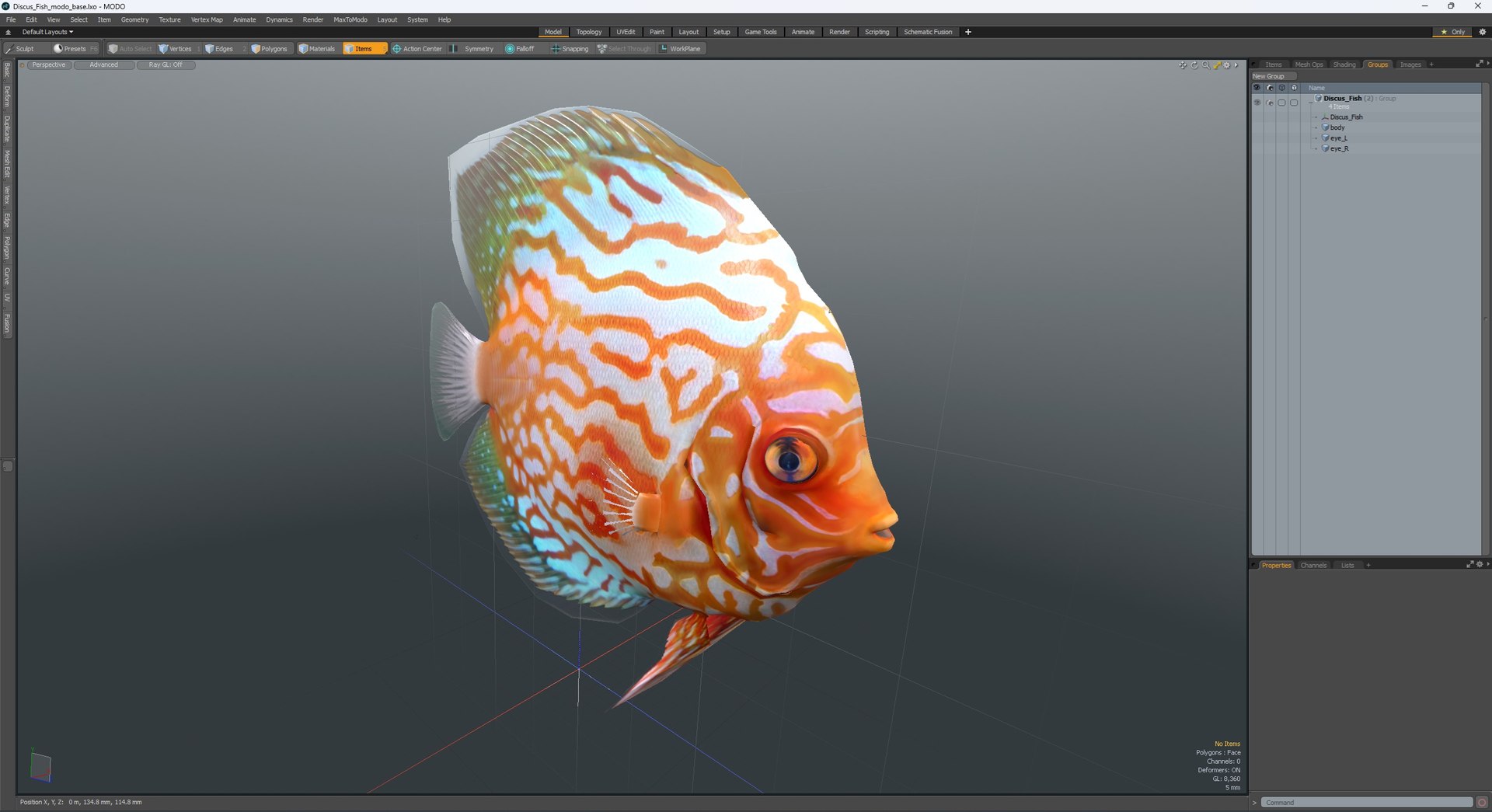 3D Discus Fish Model - TurboSquid 2322905