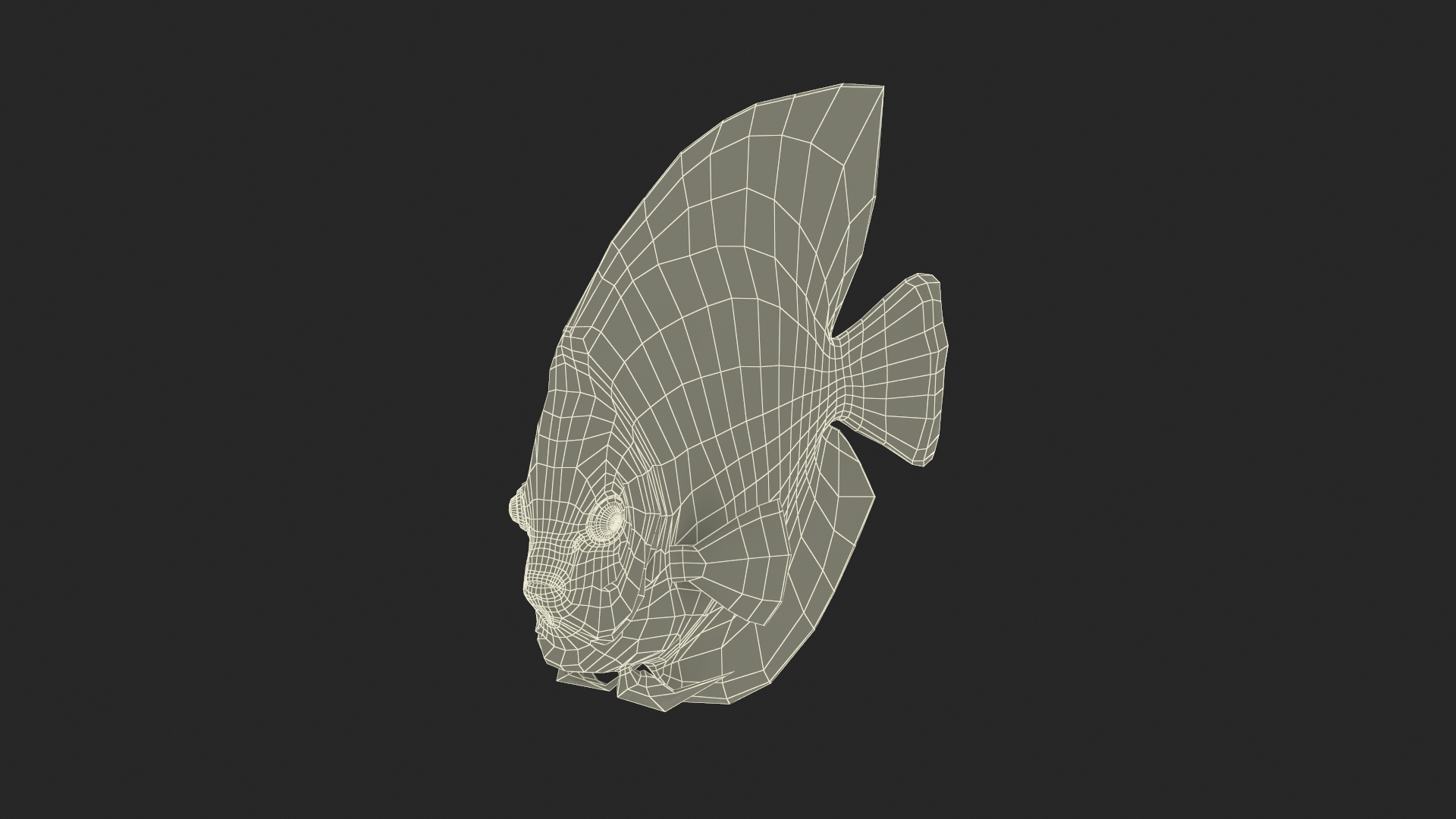 3D Discus Fish Model - TurboSquid 2322905
