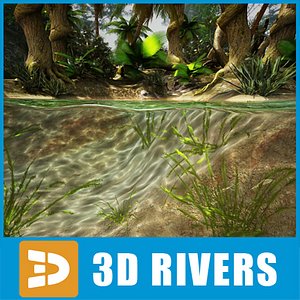 Free 3D Fish Models - Available For Download On TurboSquid