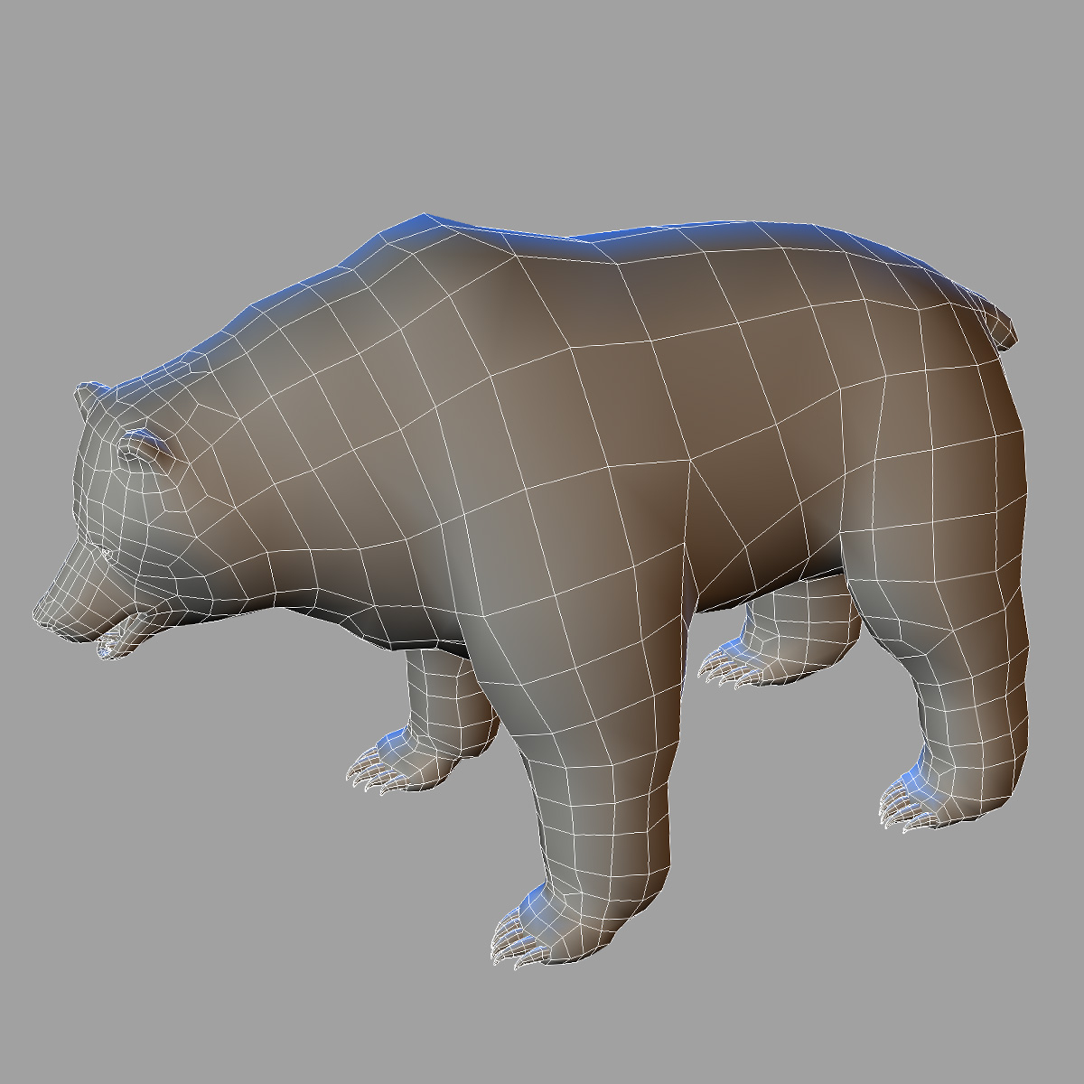 3d brown bear model
