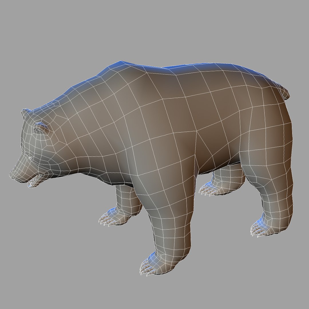 3d Brown Bear Model