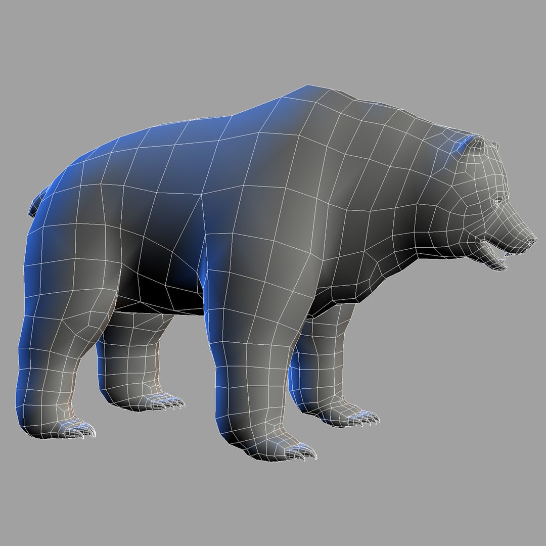 3d Brown Bear Model