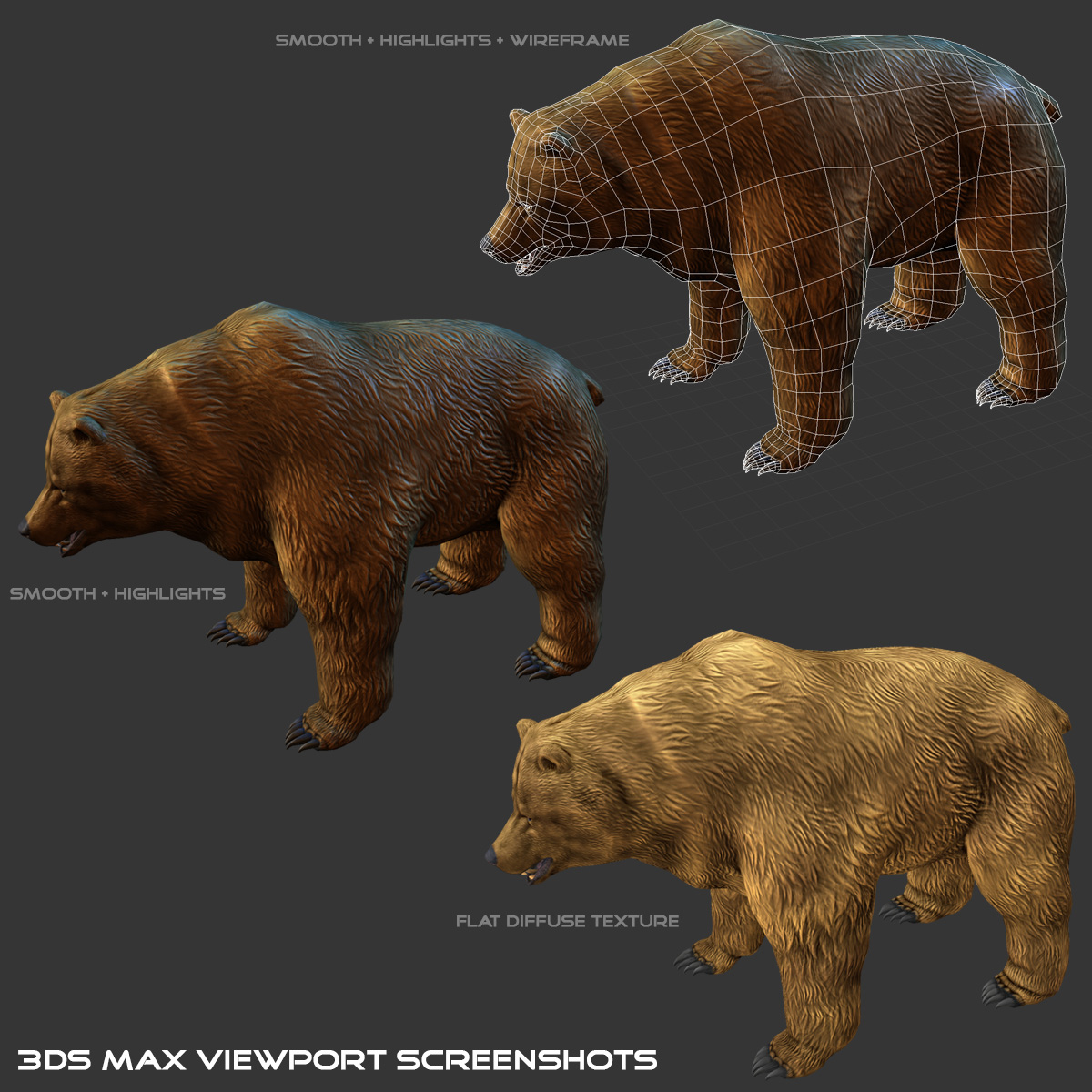 3d brown bear model