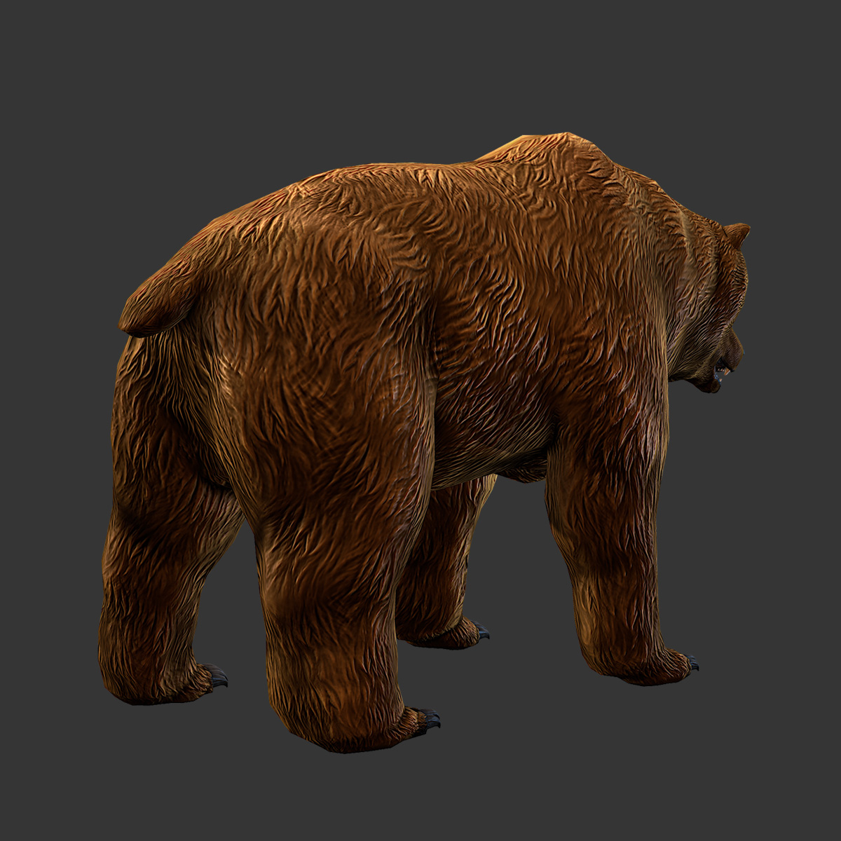 3d brown bear model