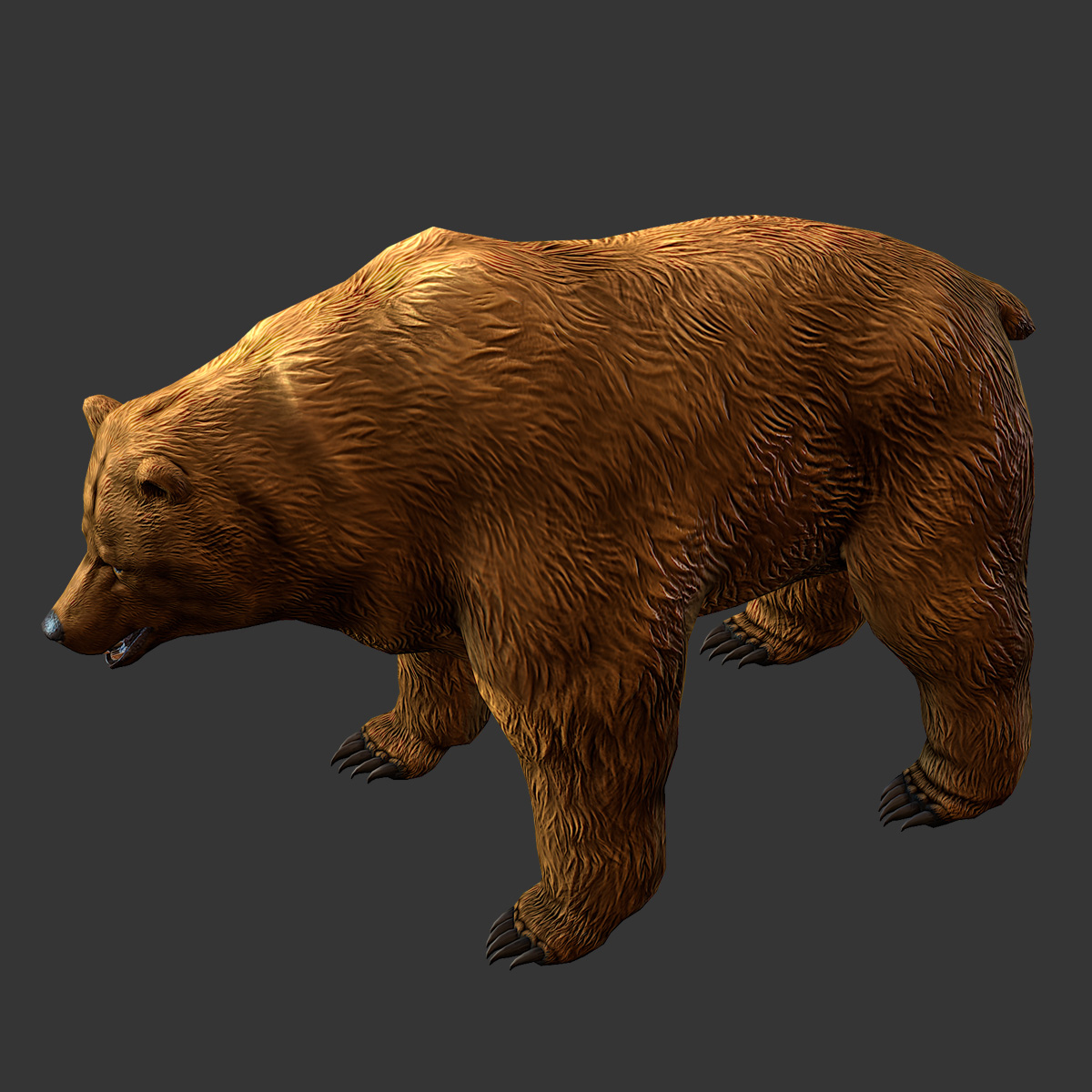 3d brown bear model