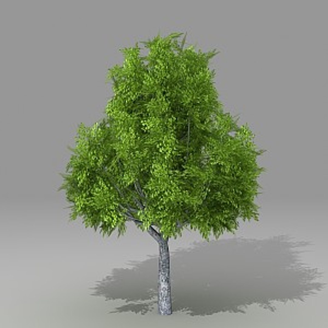tree 3d model