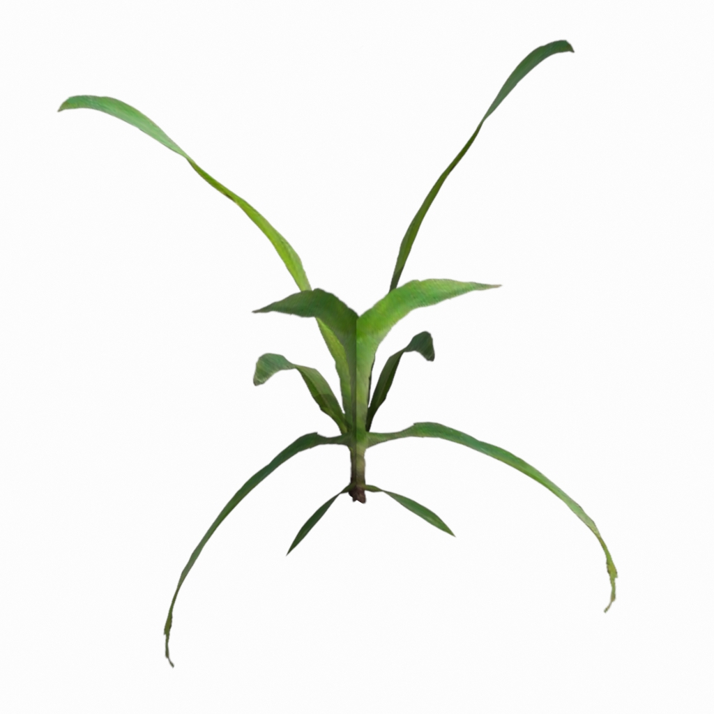 optimized weed plant 3d max