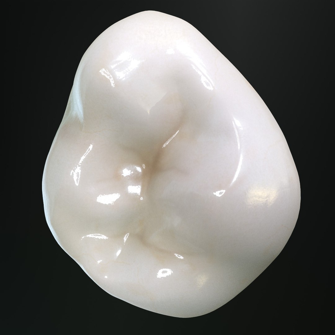 Tooth Upper Molar 3d X