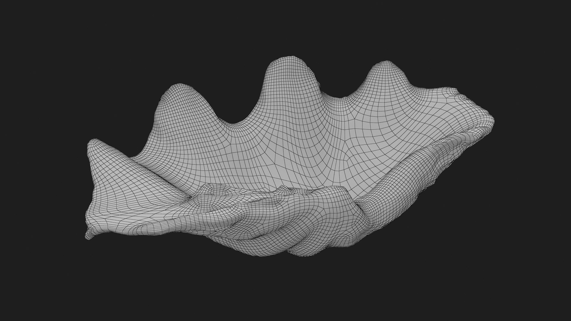 3D Model Giant Clam Shell Half 02 - TurboSquid 2302835