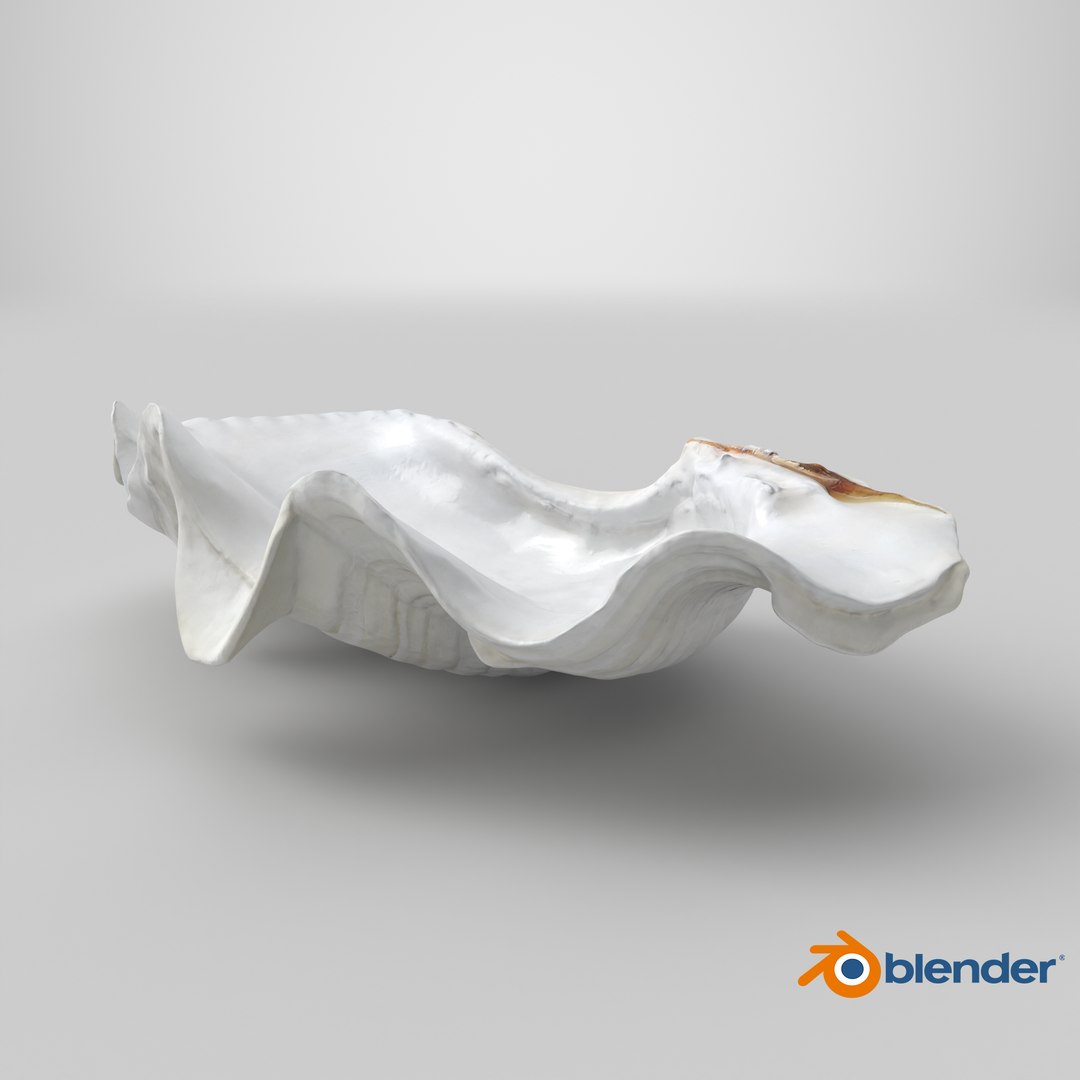 3D Model Giant Clam Shell Half 02 - TurboSquid 2302835