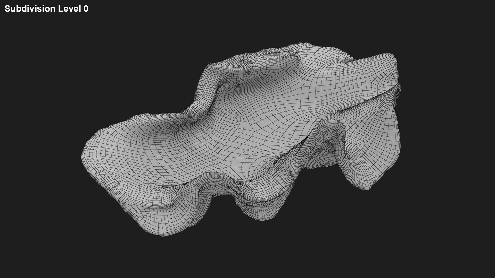 3D Model Giant Clam Shell Half 02 - TurboSquid 2302835