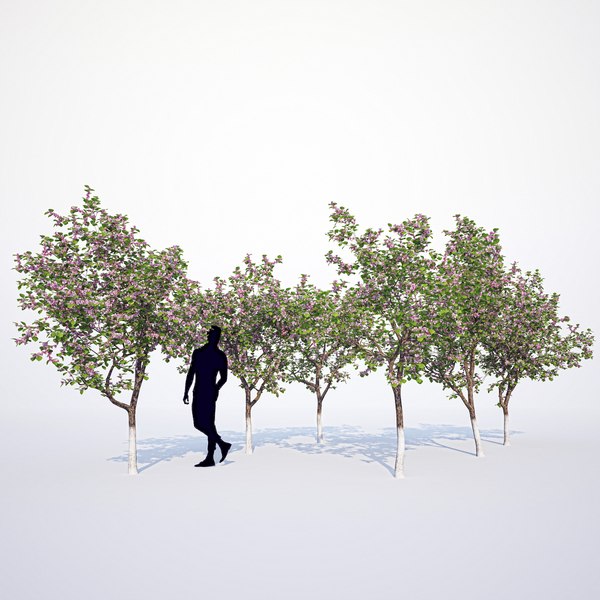 Free 3D Apple-Tree Models | TurboSquid