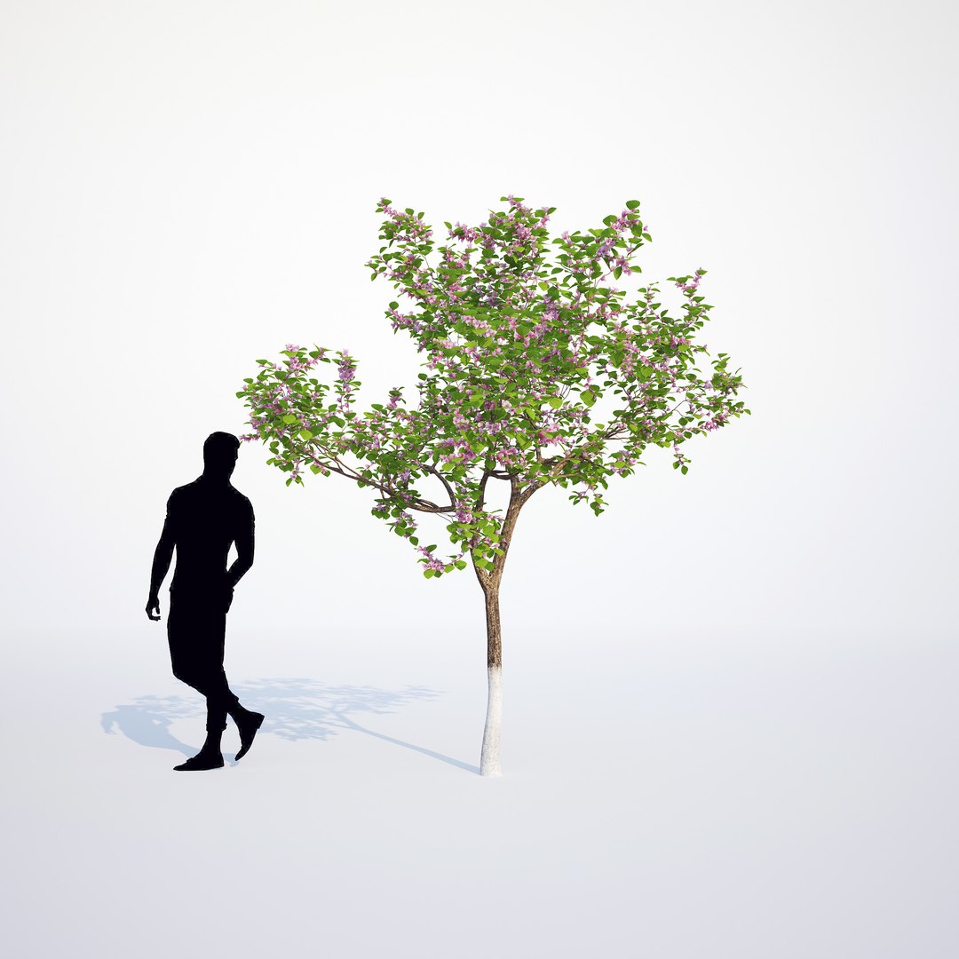 Blooming Apple Tree 3d Max