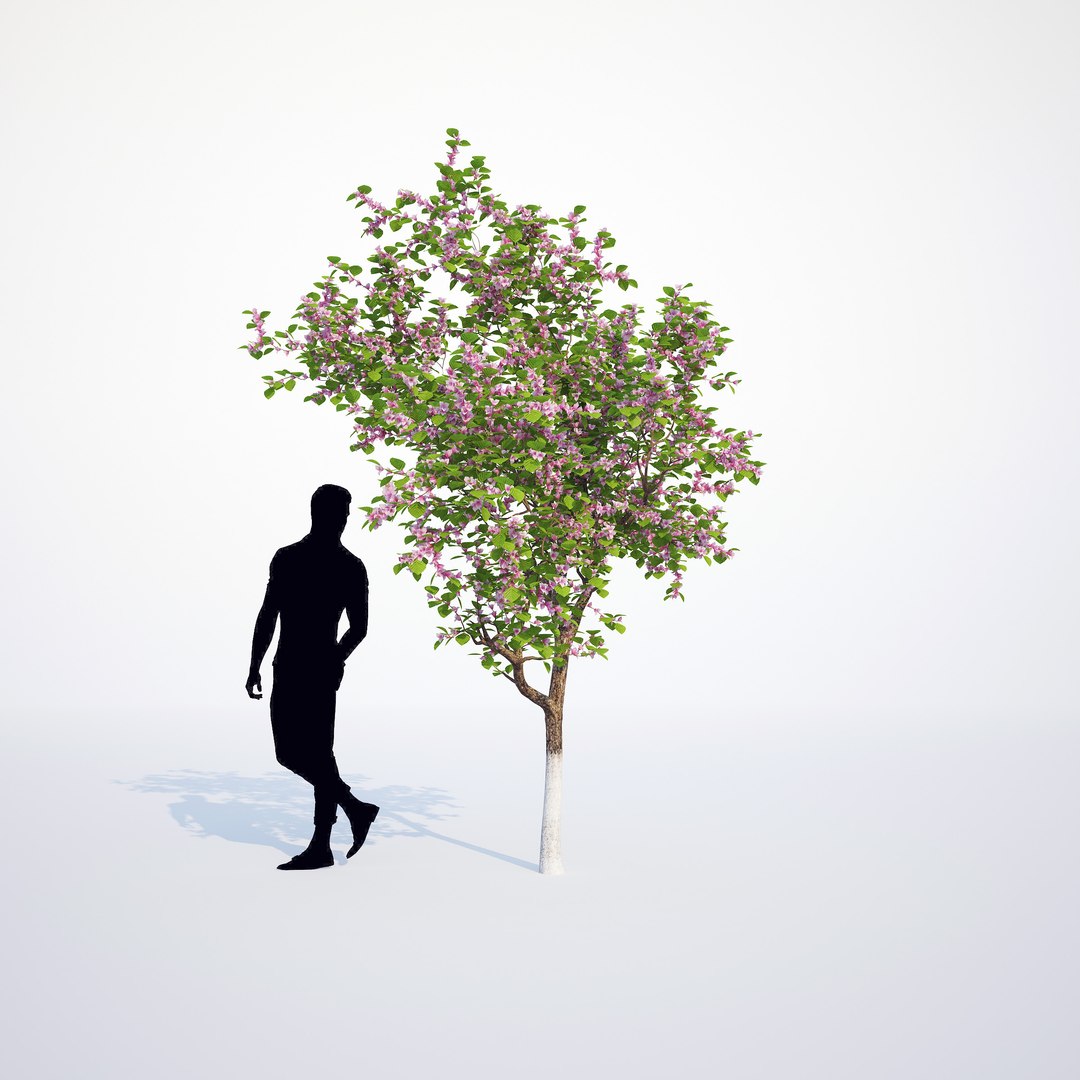 Blooming Apple Tree 3d Max