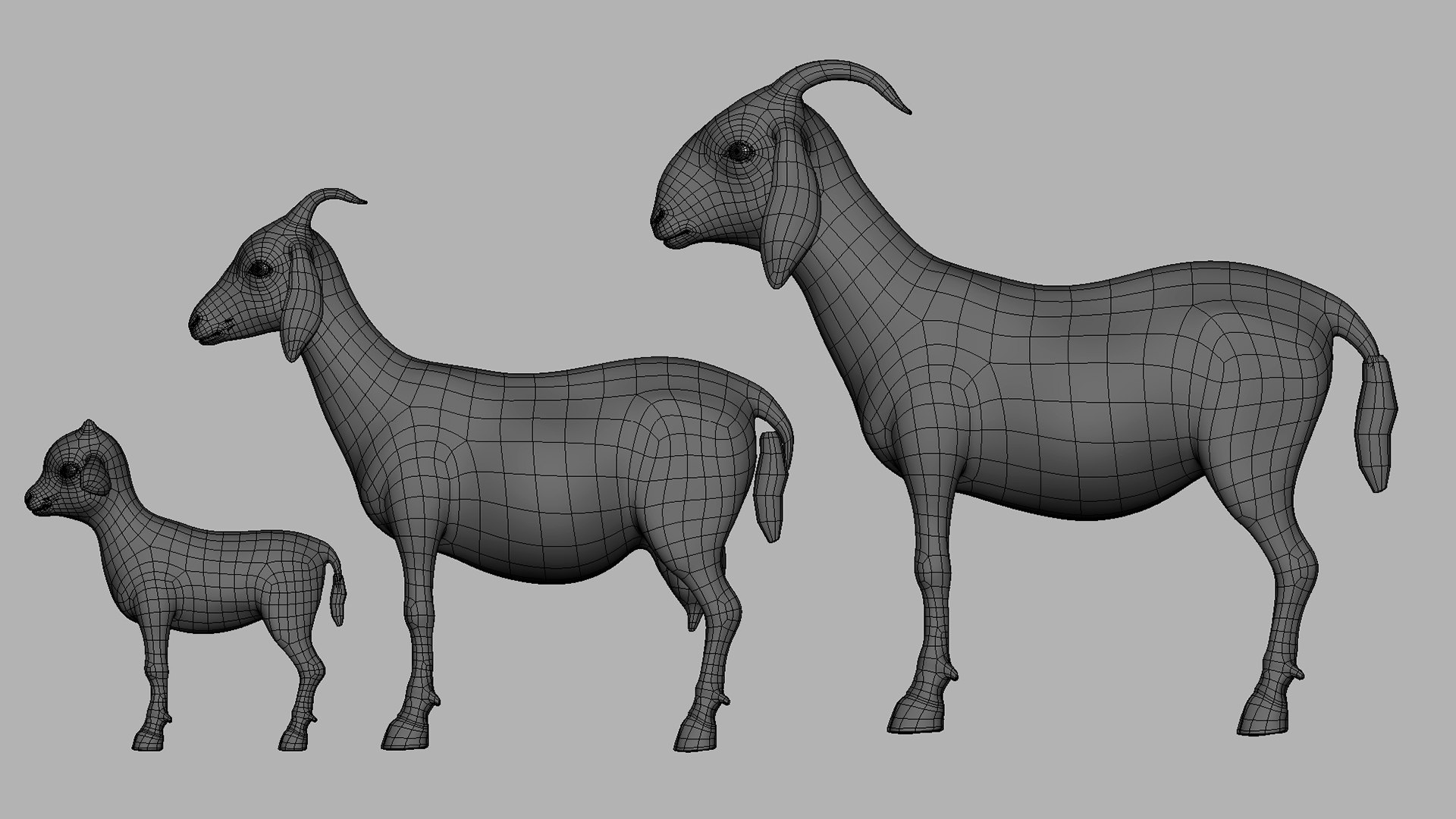 Goat Family 3D Model - TurboSquid 2238255