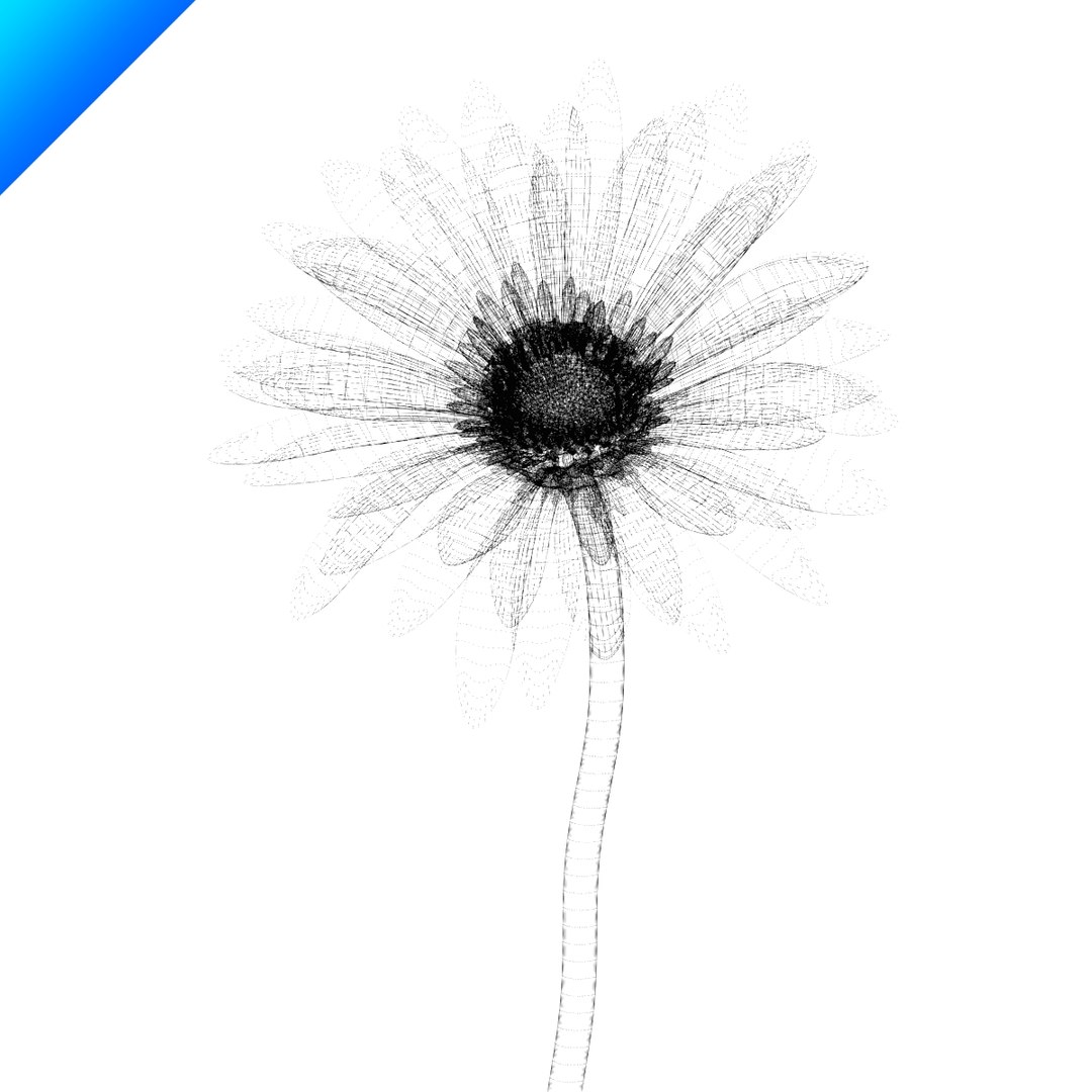 Contemporary Flower 3d C4d