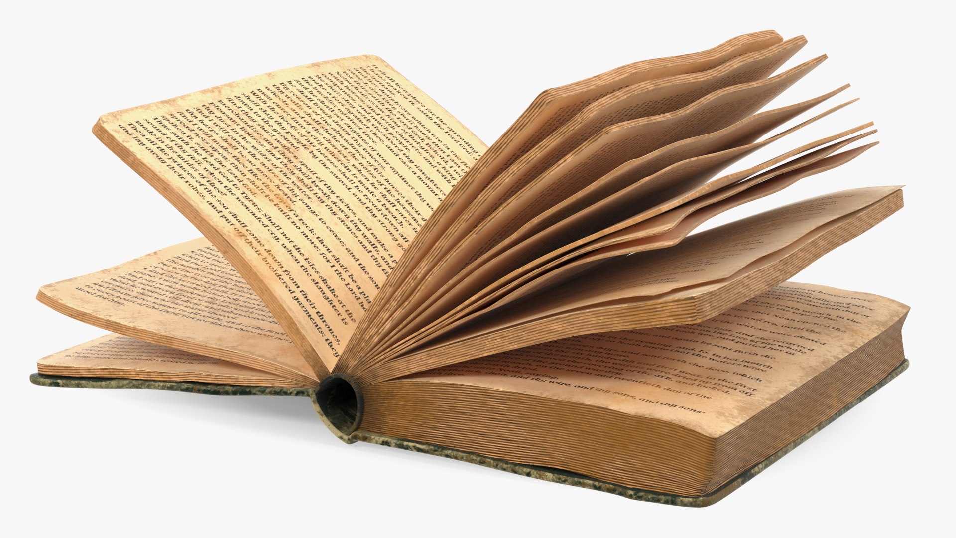 3D model Half Opened Very Old Book - TurboSquid 2005967