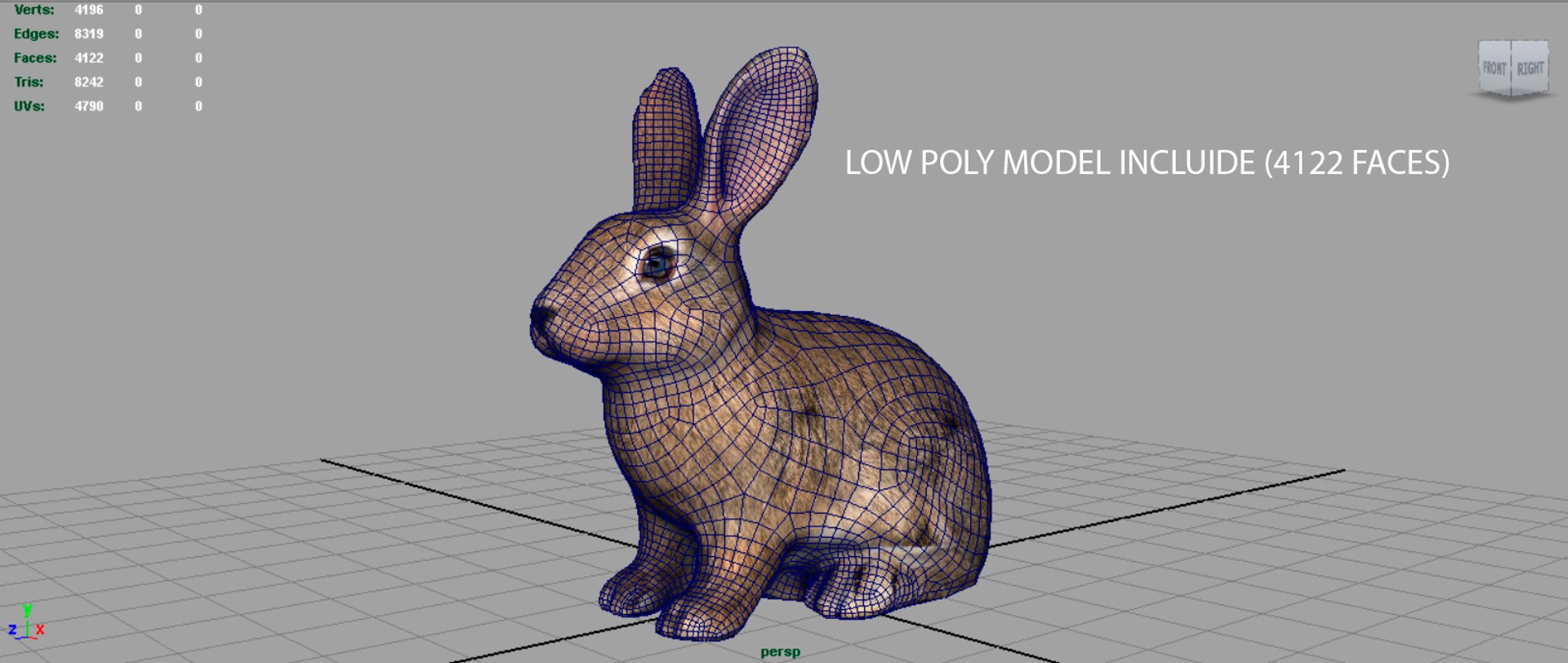 Rabbit 3D Model | 1141919 | TurboSquid