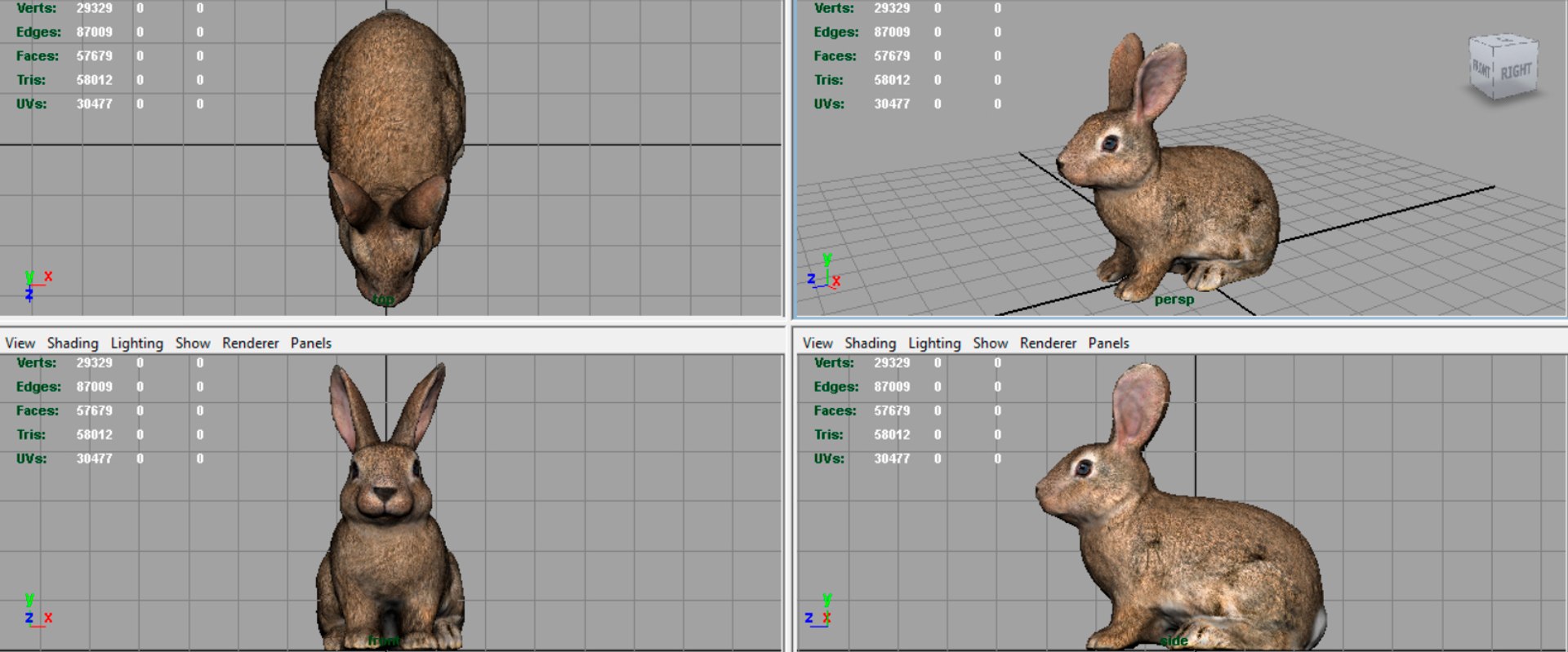 Rabbit 3D Model | 1141919 | TurboSquid