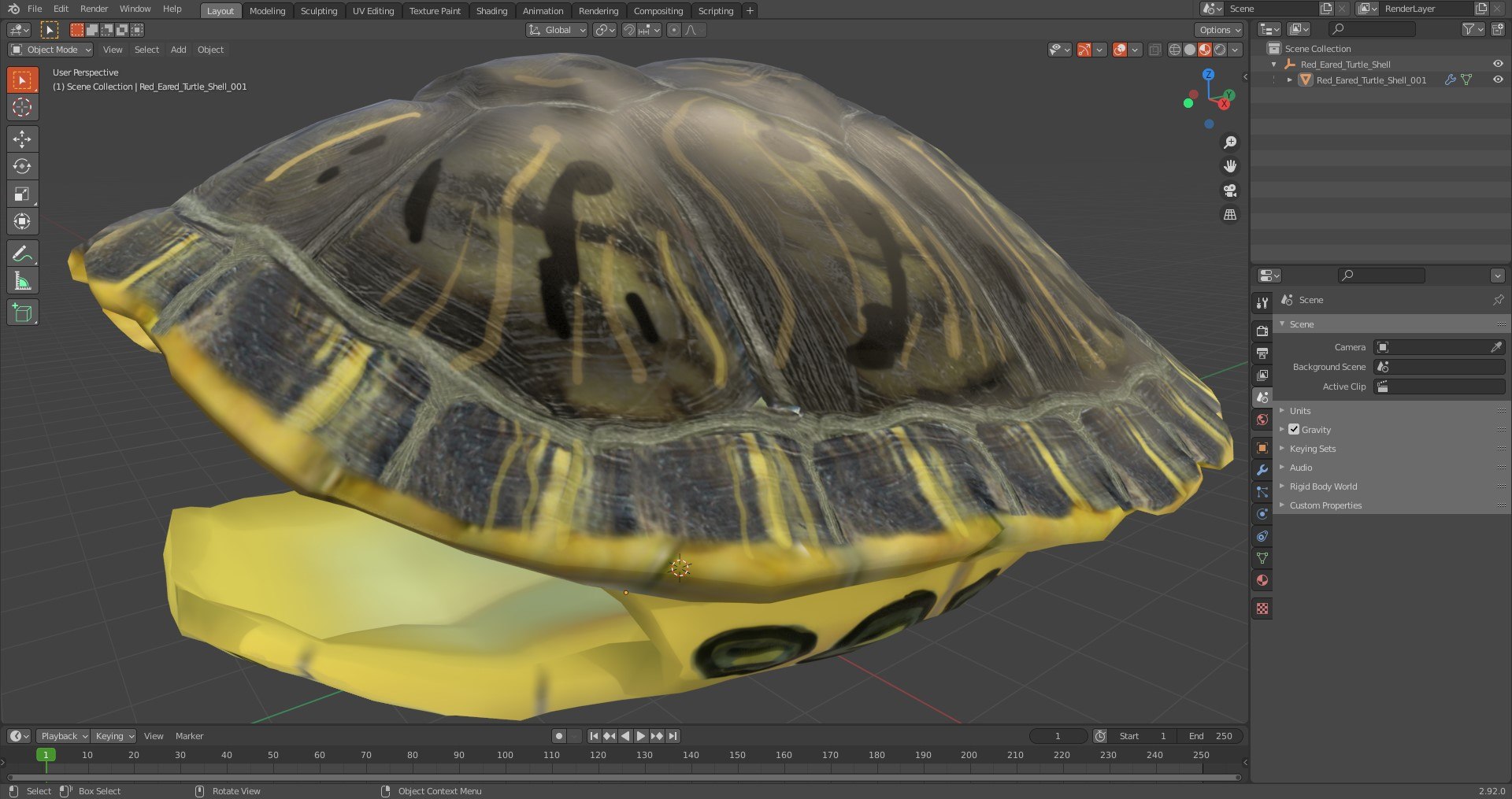 3D Red Eared Turtle Shell Model - TurboSquid 2147301