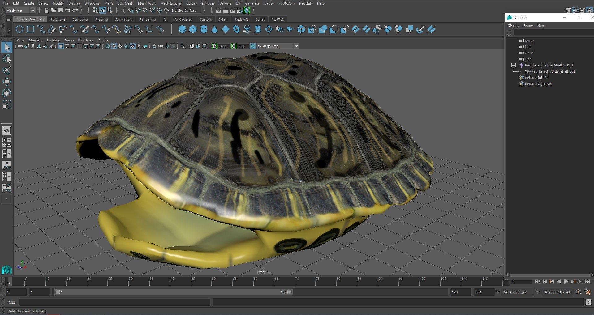 3D Red Eared Turtle Shell Model - TurboSquid 2147301
