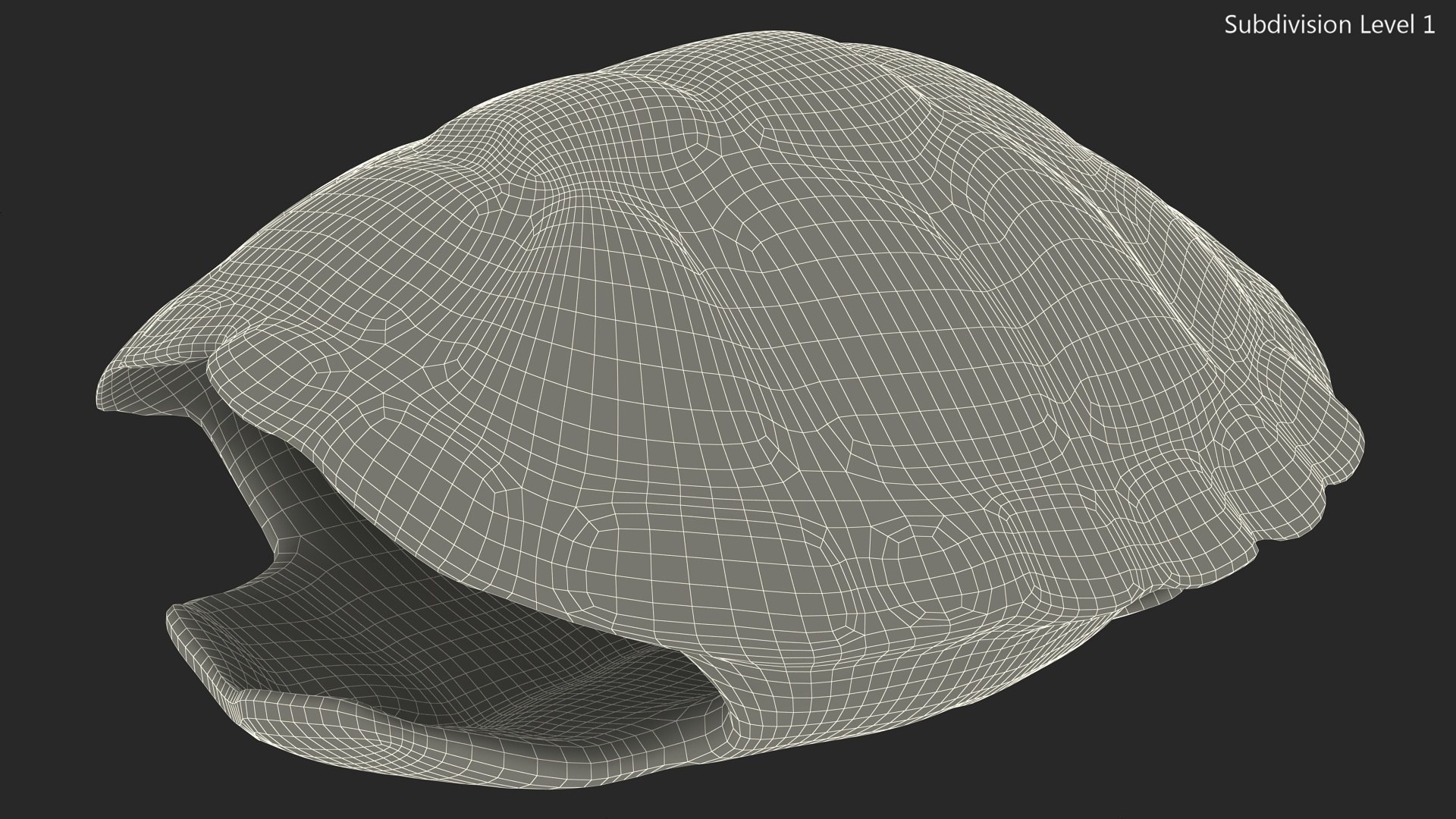 3D Red Eared Turtle Shell Model - TurboSquid 2147301