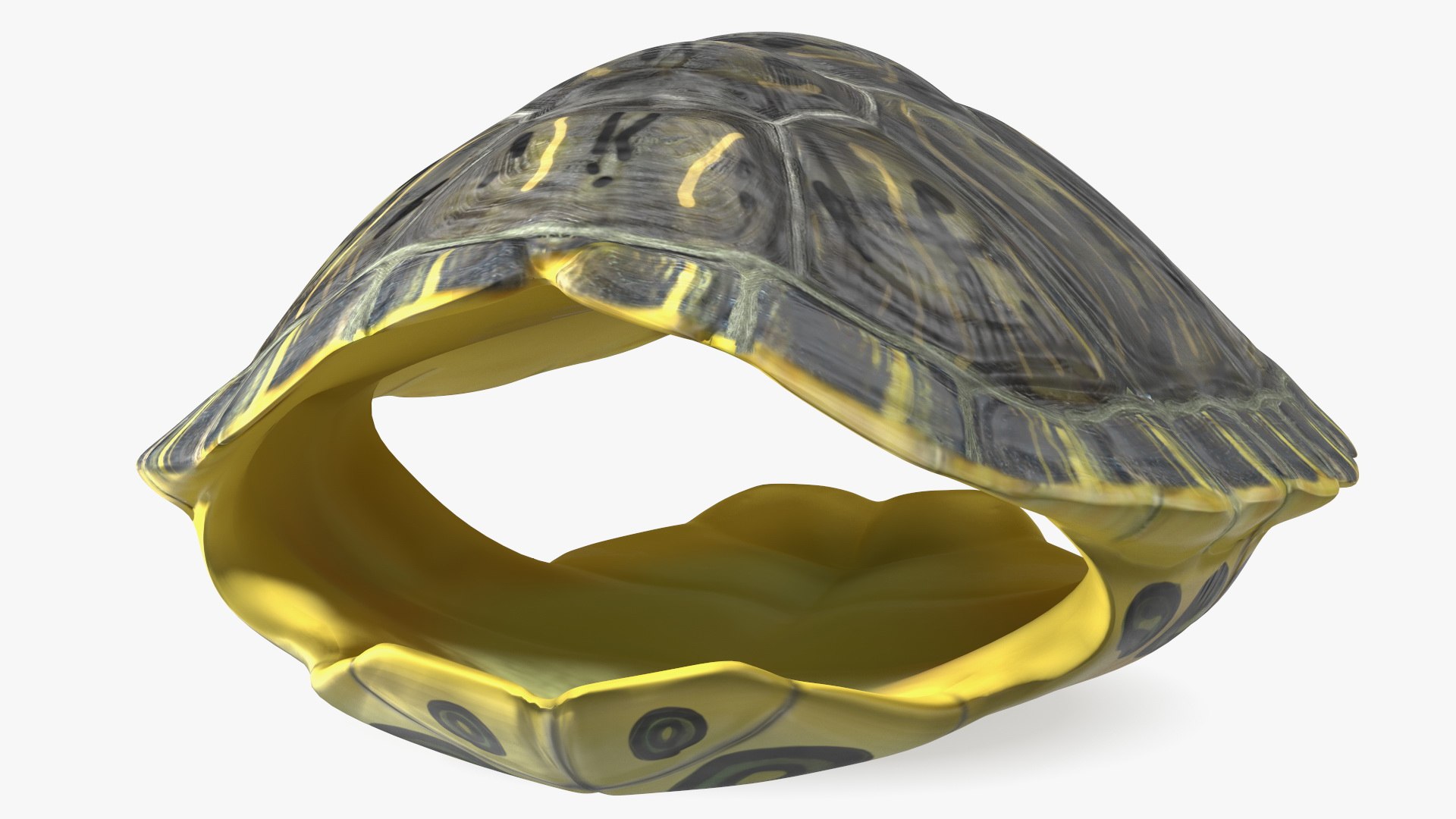 3D Red Eared Turtle Shell Model - TurboSquid 2147301