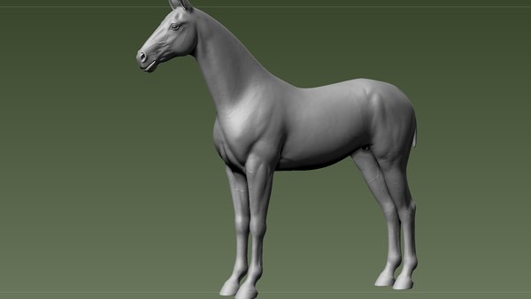Horse High Poly 3D model - TurboSquid 2043908