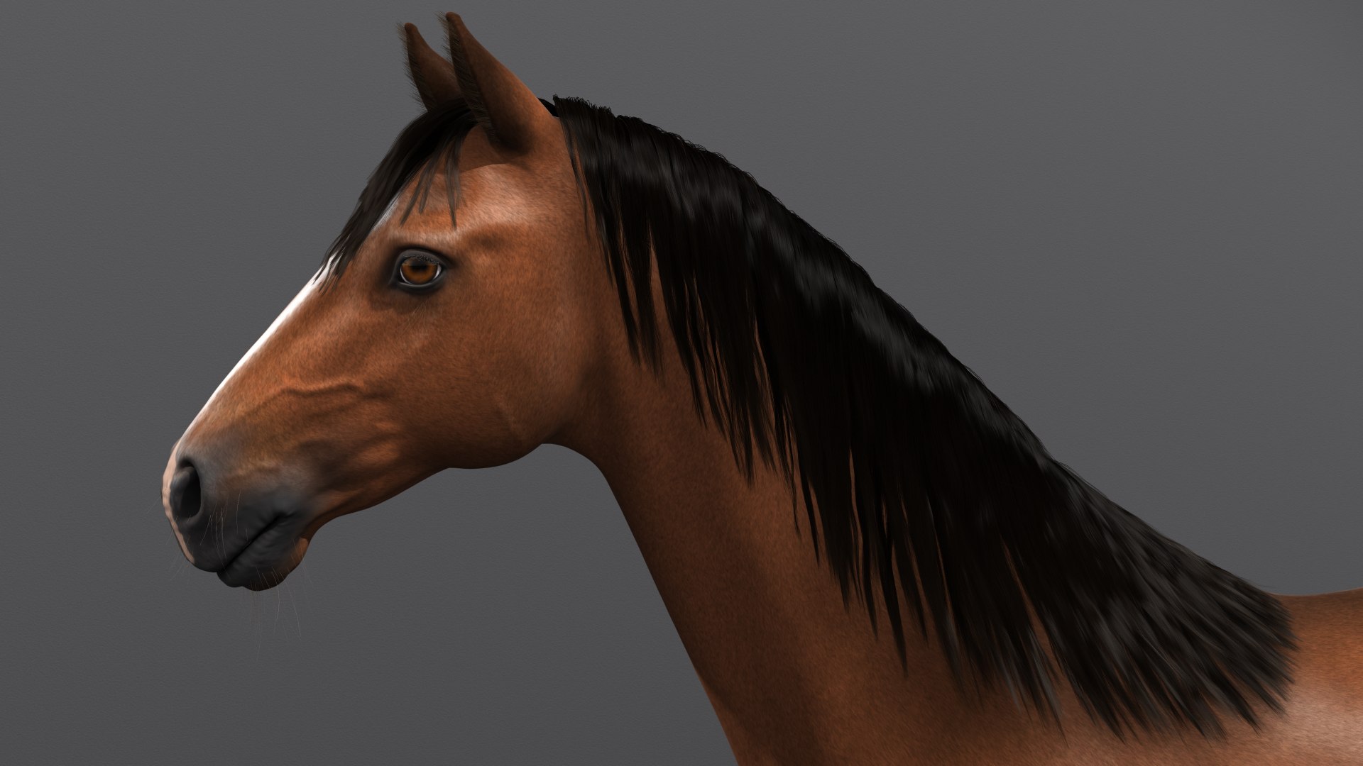 Horse High Poly 3D model - TurboSquid 2043908