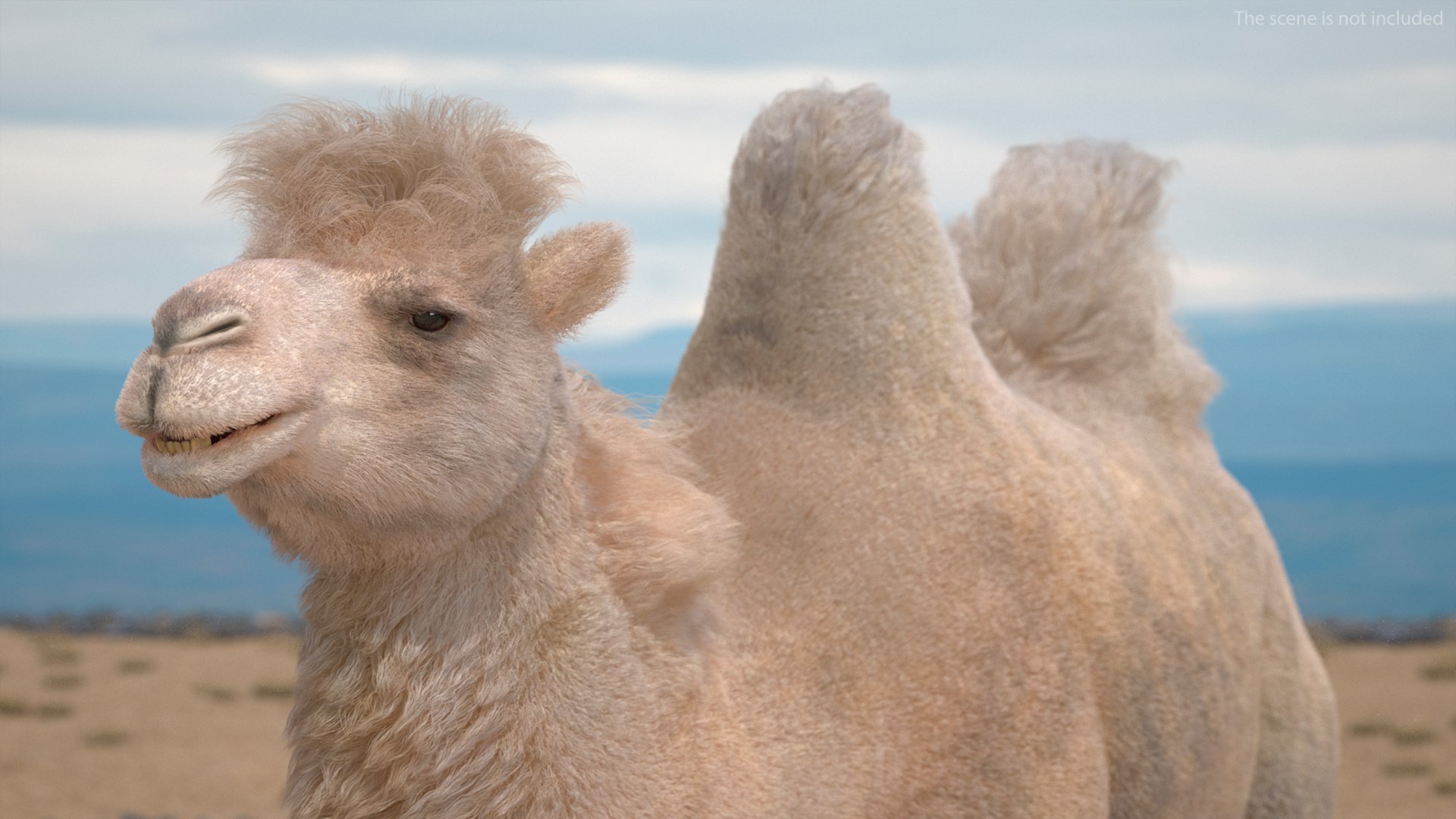 3D Bactrian Camel Light Colored Fur Rigged - TurboSquid 2273669