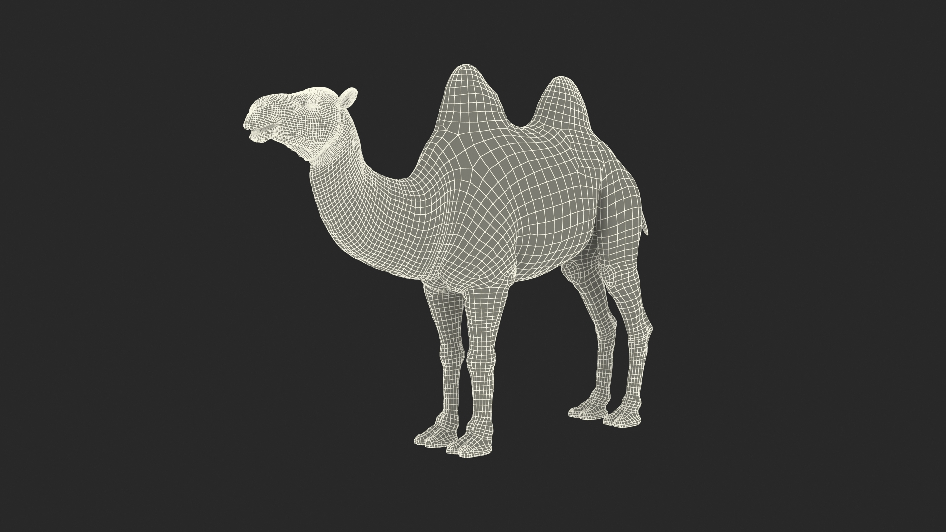 3D Bactrian Camel Light Colored Fur Rigged - TurboSquid 2273669