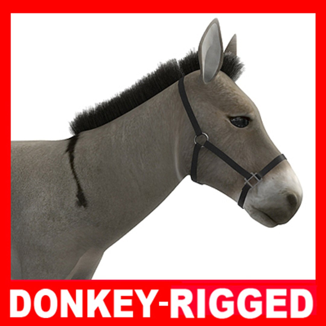 Donkey Rigged 3d Model