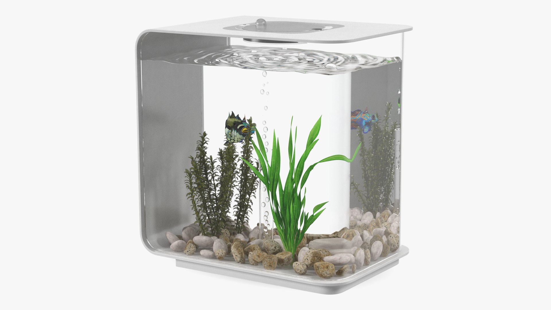 Rectangle Fish Tank White 3D Model - TurboSquid 2134045