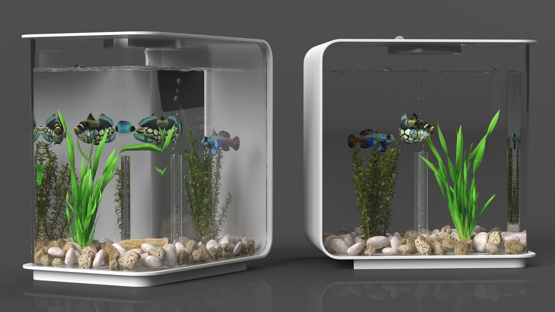 Rectangle Fish Tank White 3D Model - TurboSquid 2134045