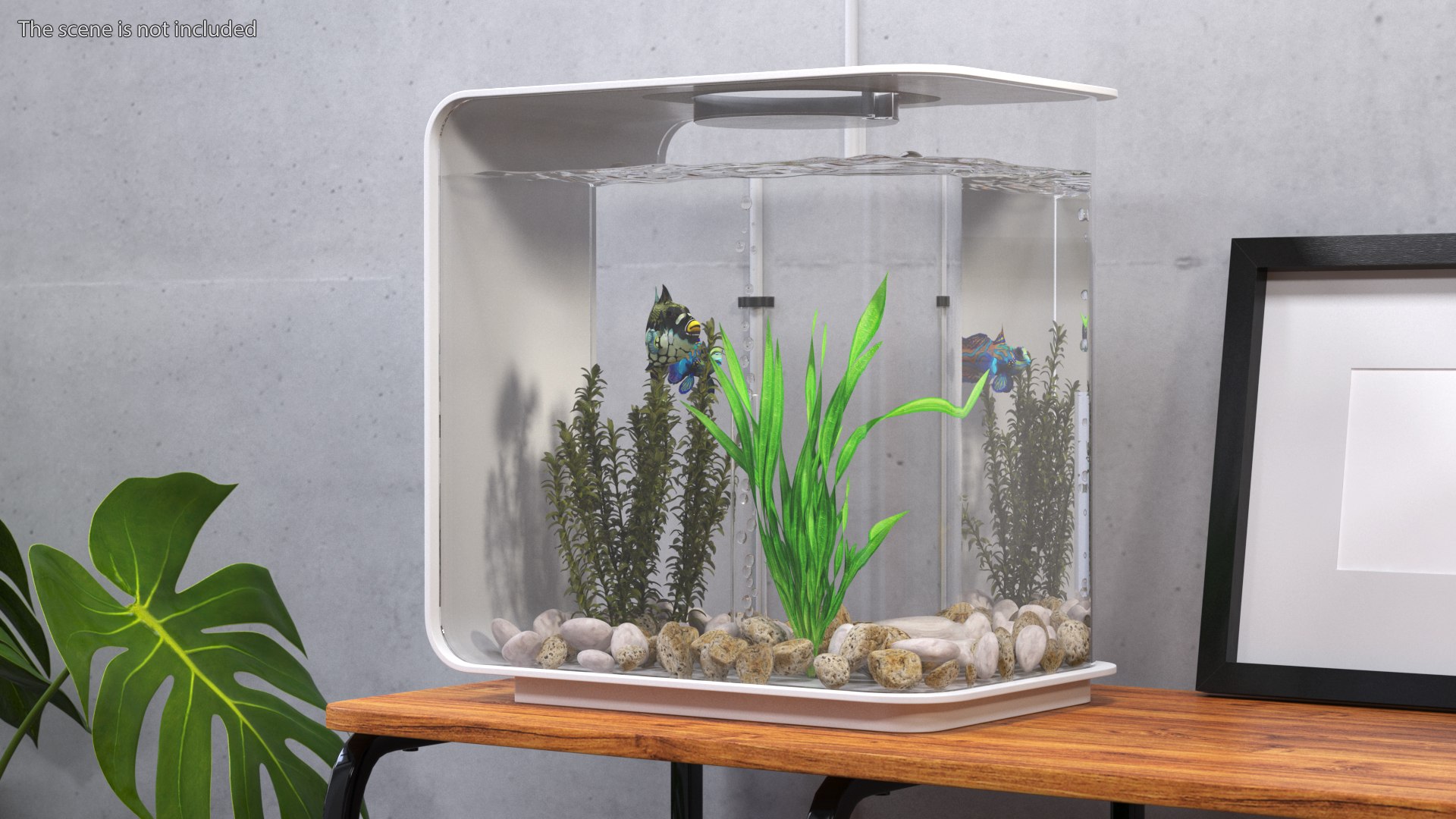 Rectangle Fish Tank White 3D Model - TurboSquid 2134045