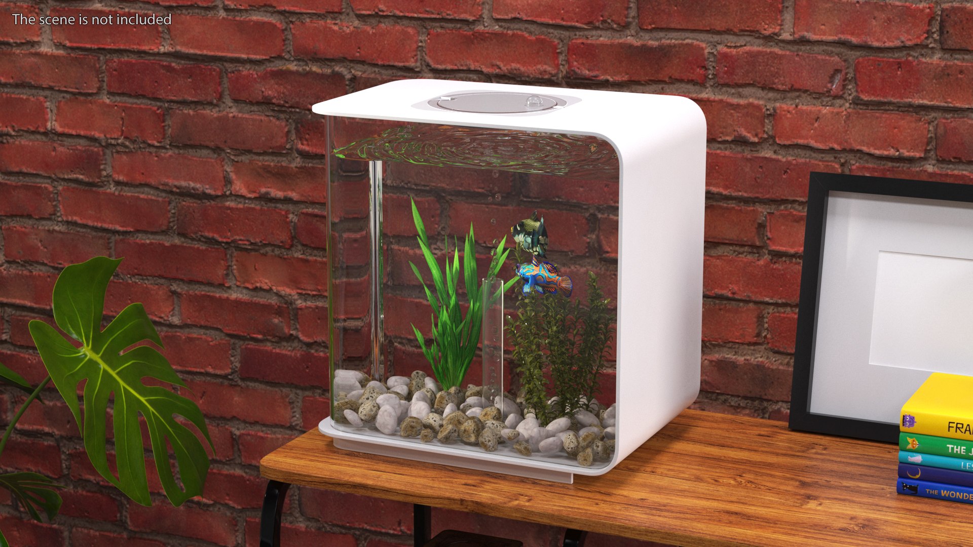 Rectangle Fish Tank White 3D Model - TurboSquid 2134045