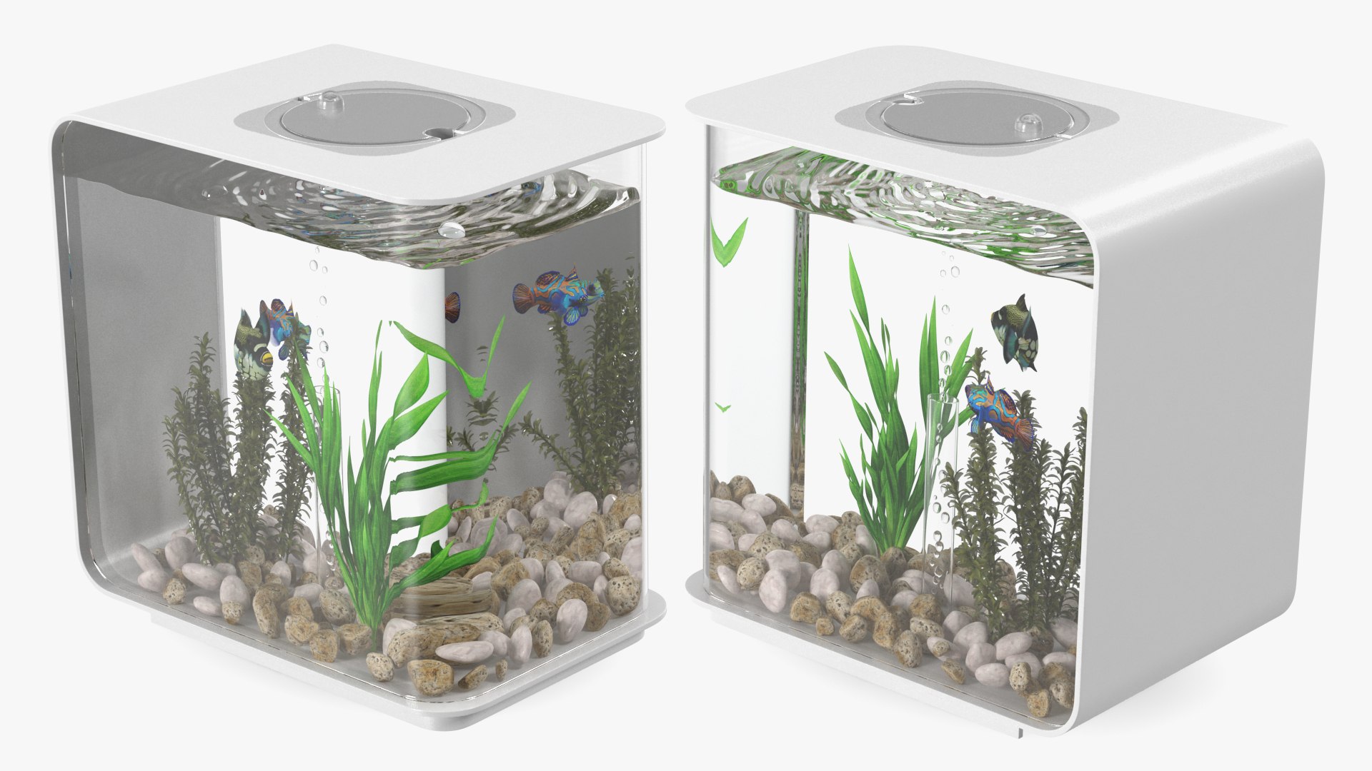 Rectangle Fish Tank White 3D Model - TurboSquid 2134045
