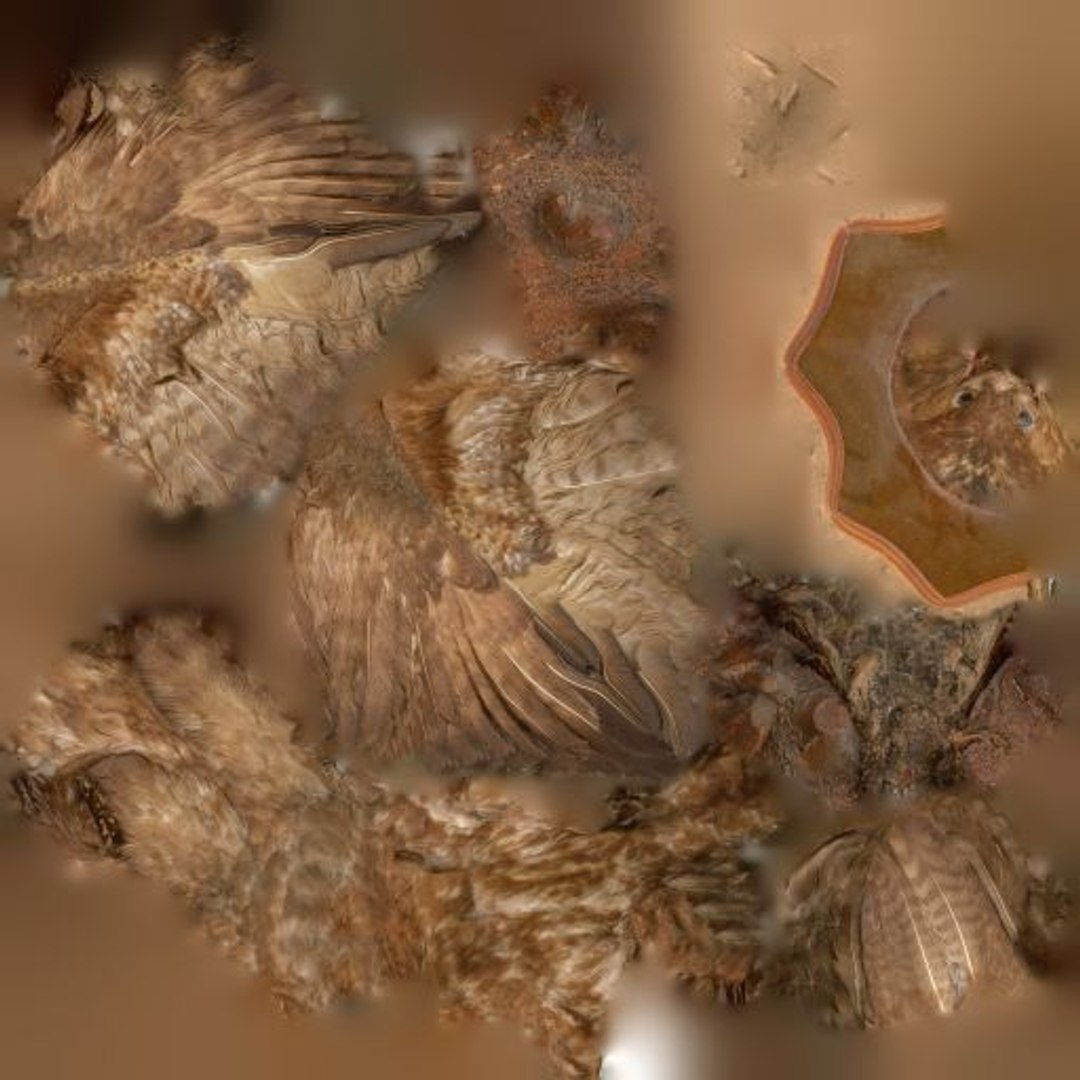 3D Animal Digital Photogrammetry Model - TurboSquid 1162976