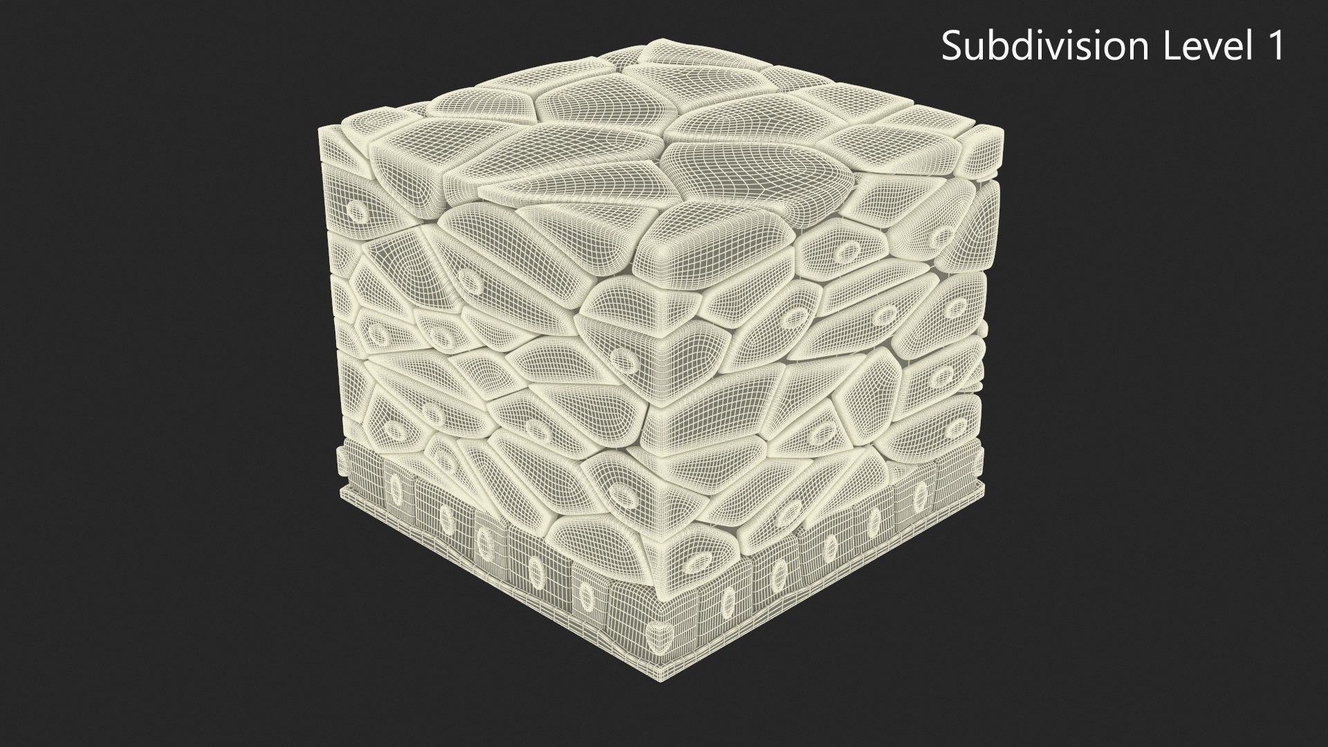 Stratified Epithelium 3D - TurboSquid 2235552