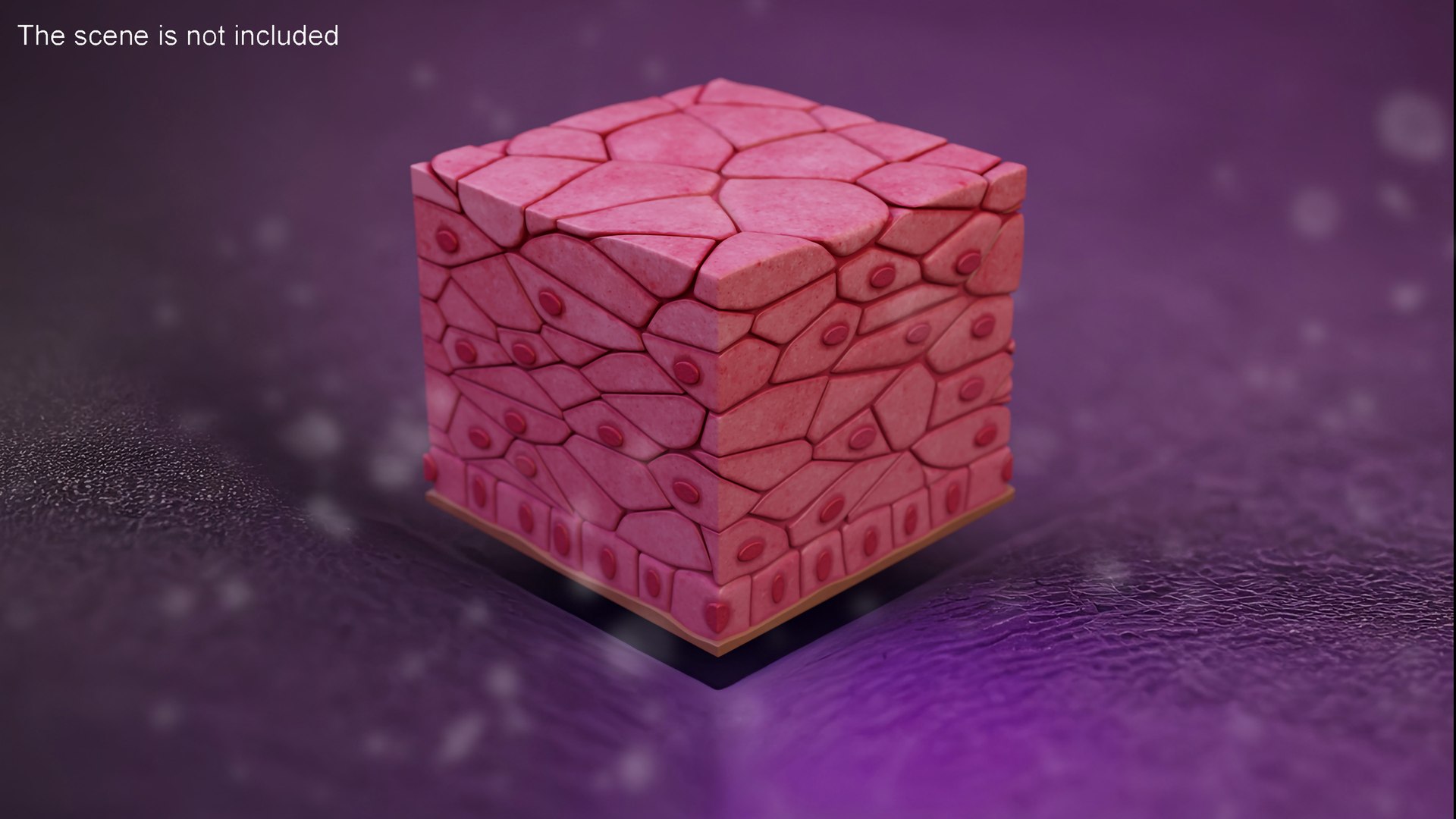 Stratified Epithelium 3D - TurboSquid 2235552