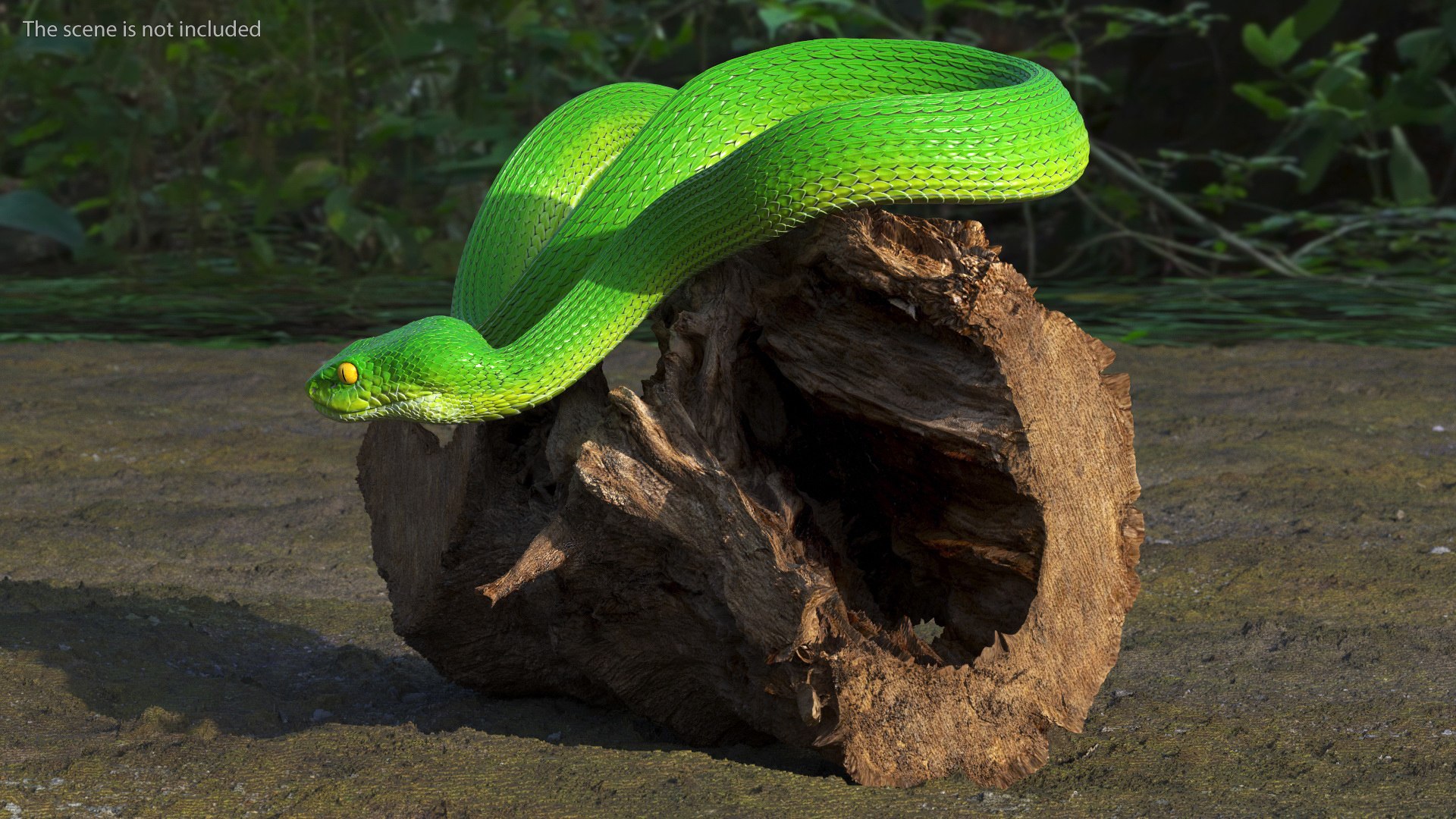 3D Hanging Trunk Green Snake Trimeresurus - TurboSquid 2106168