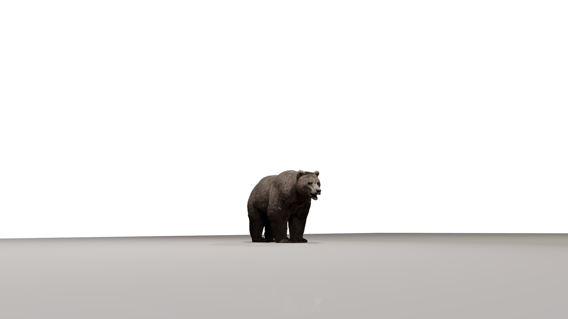 Bear - Rigged Blender 3d model model - TurboSquid 2002925