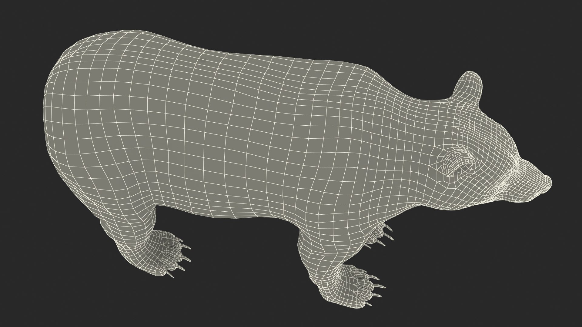 3D Black Bear Fur - TurboSquid 2255001