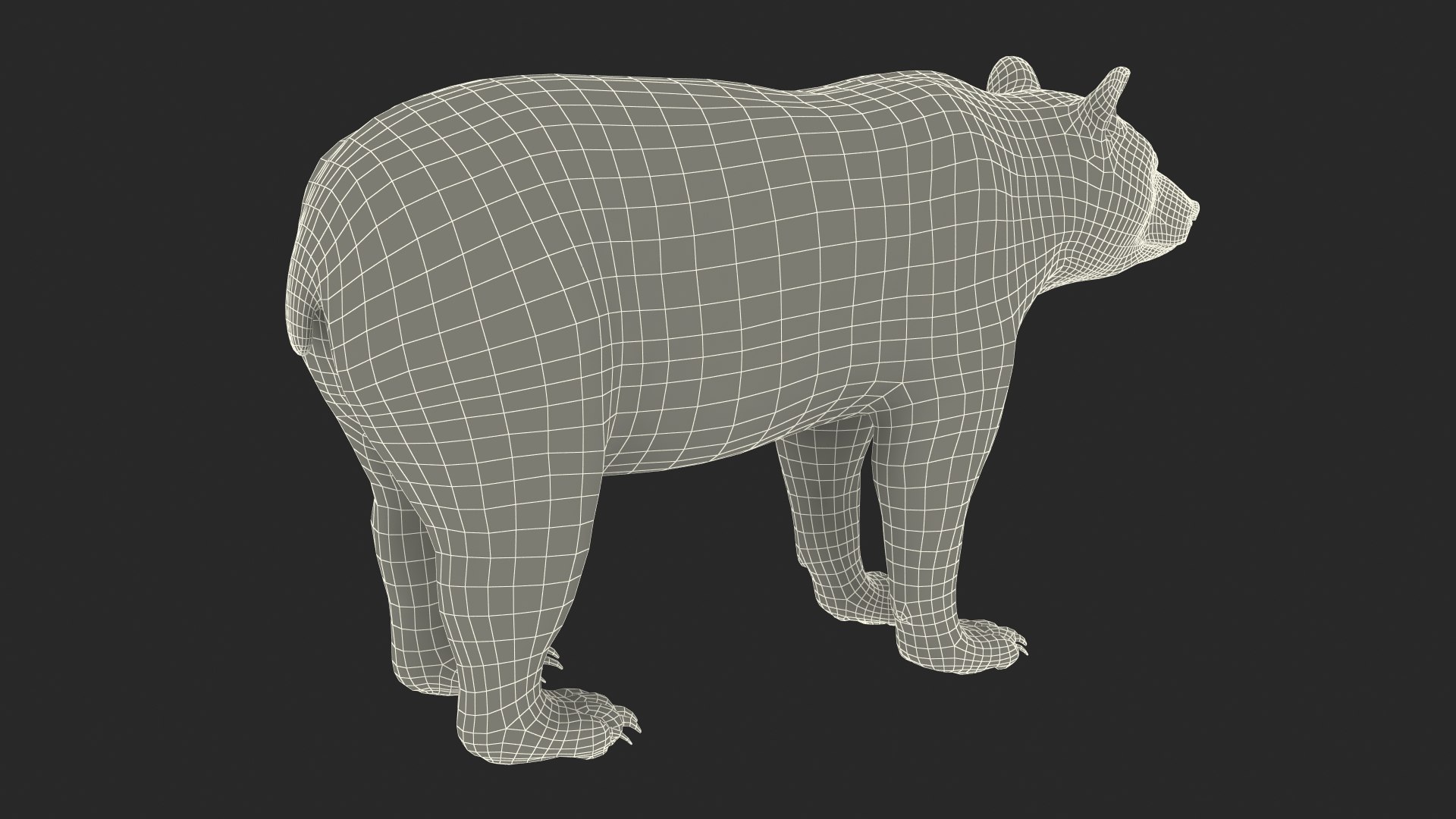 3D Black Bear Fur - TurboSquid 2255001