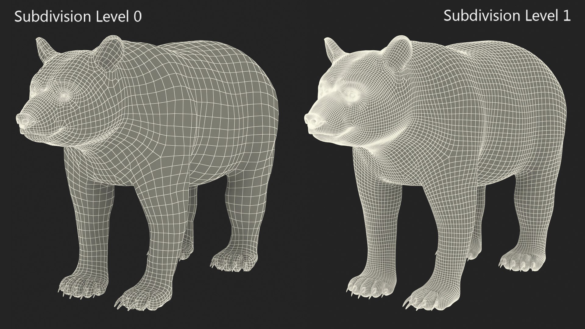 3D Black Bear Fur - TurboSquid 2255001