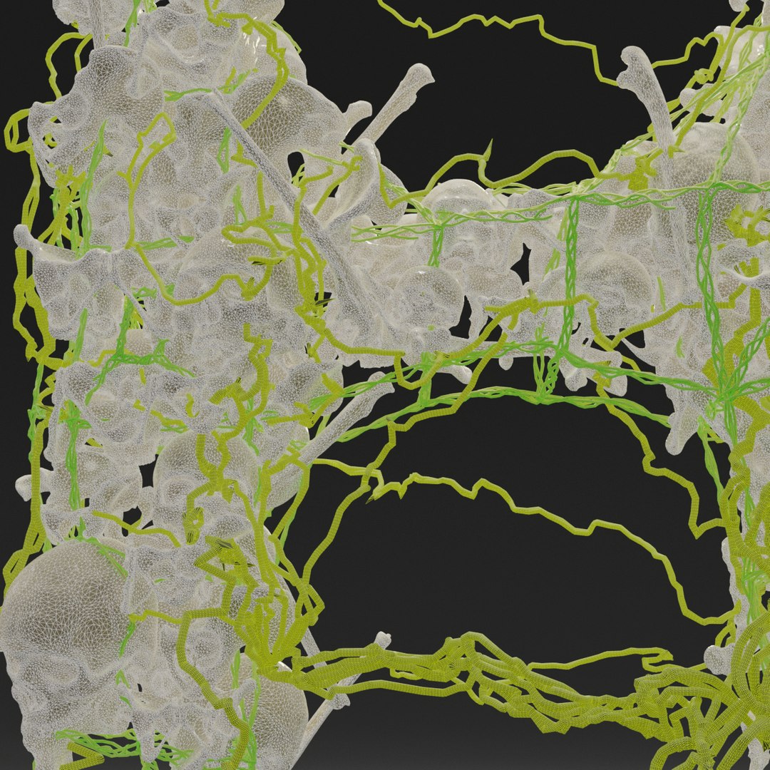 Letter h bones skeleton 3D - TurboSquid 1546135