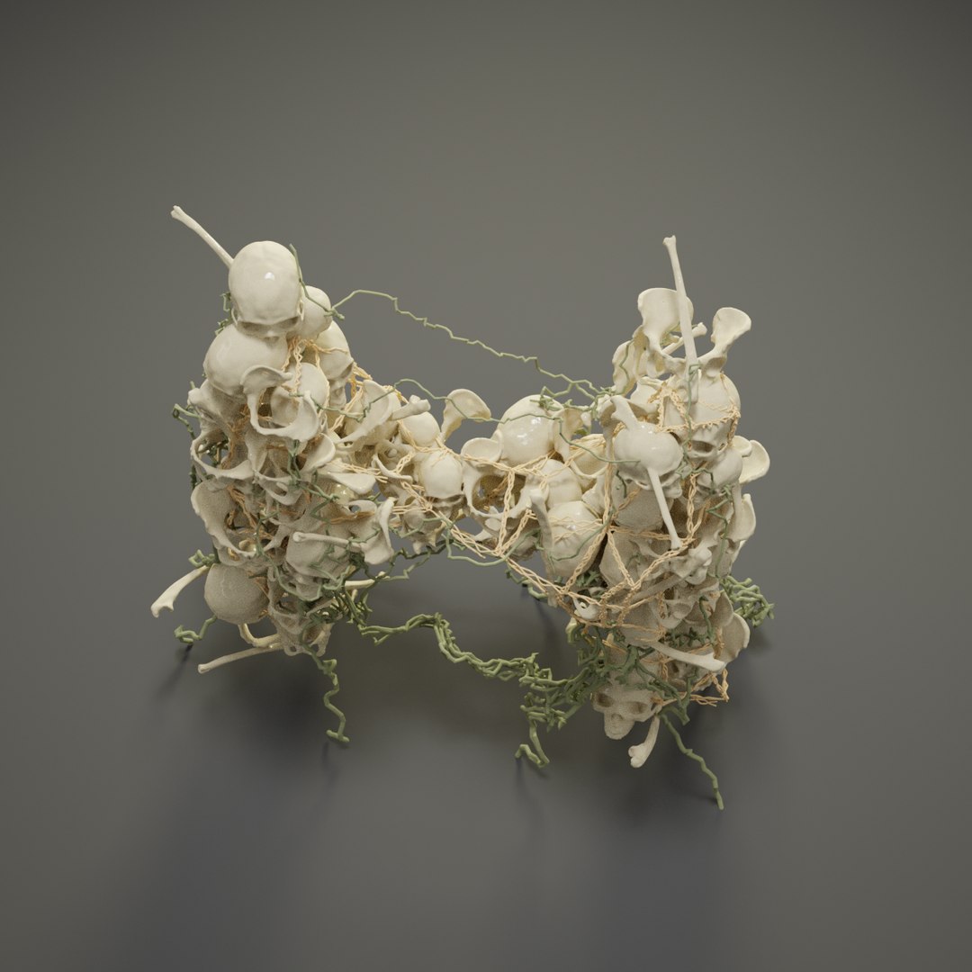 Letter h bones skeleton 3D - TurboSquid 1546135