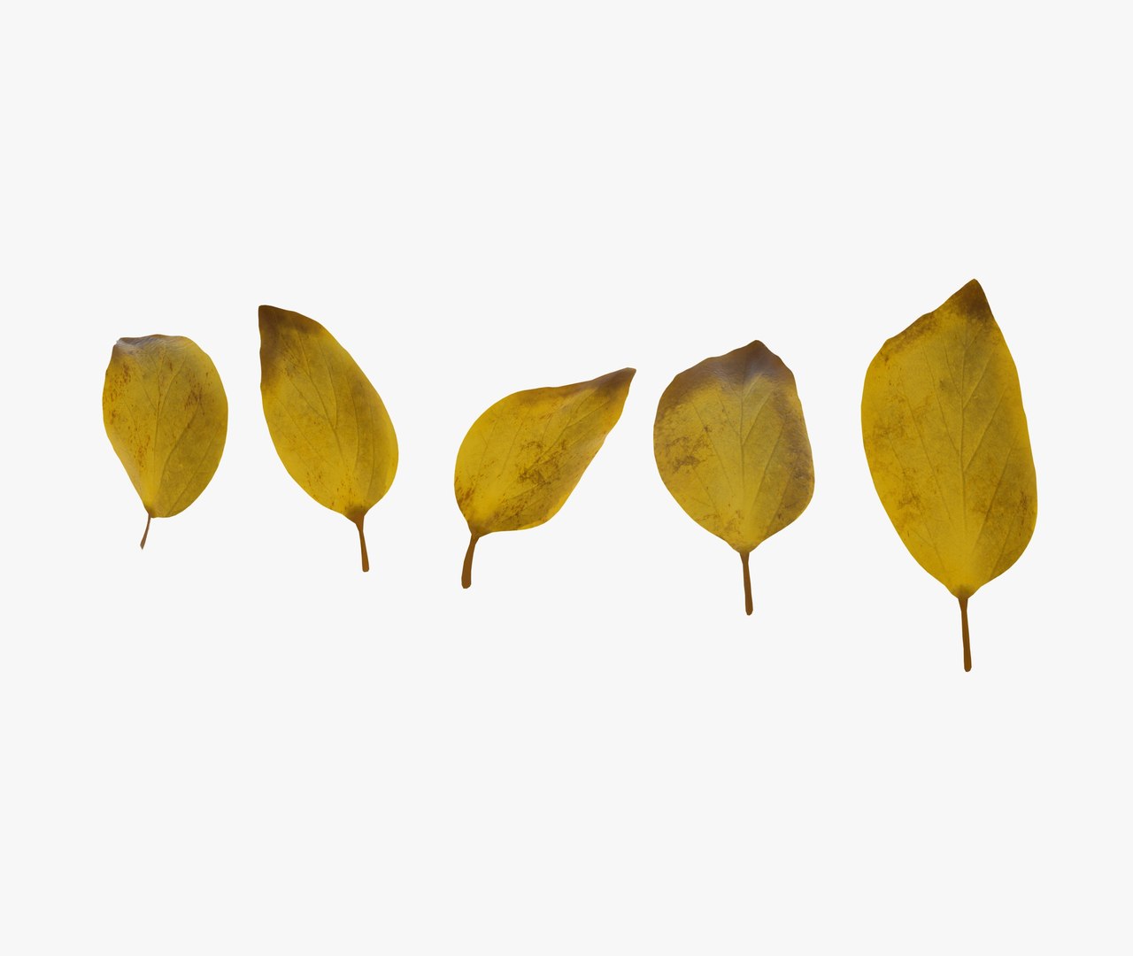 Tree leaf 3D - TurboSquid 1291257