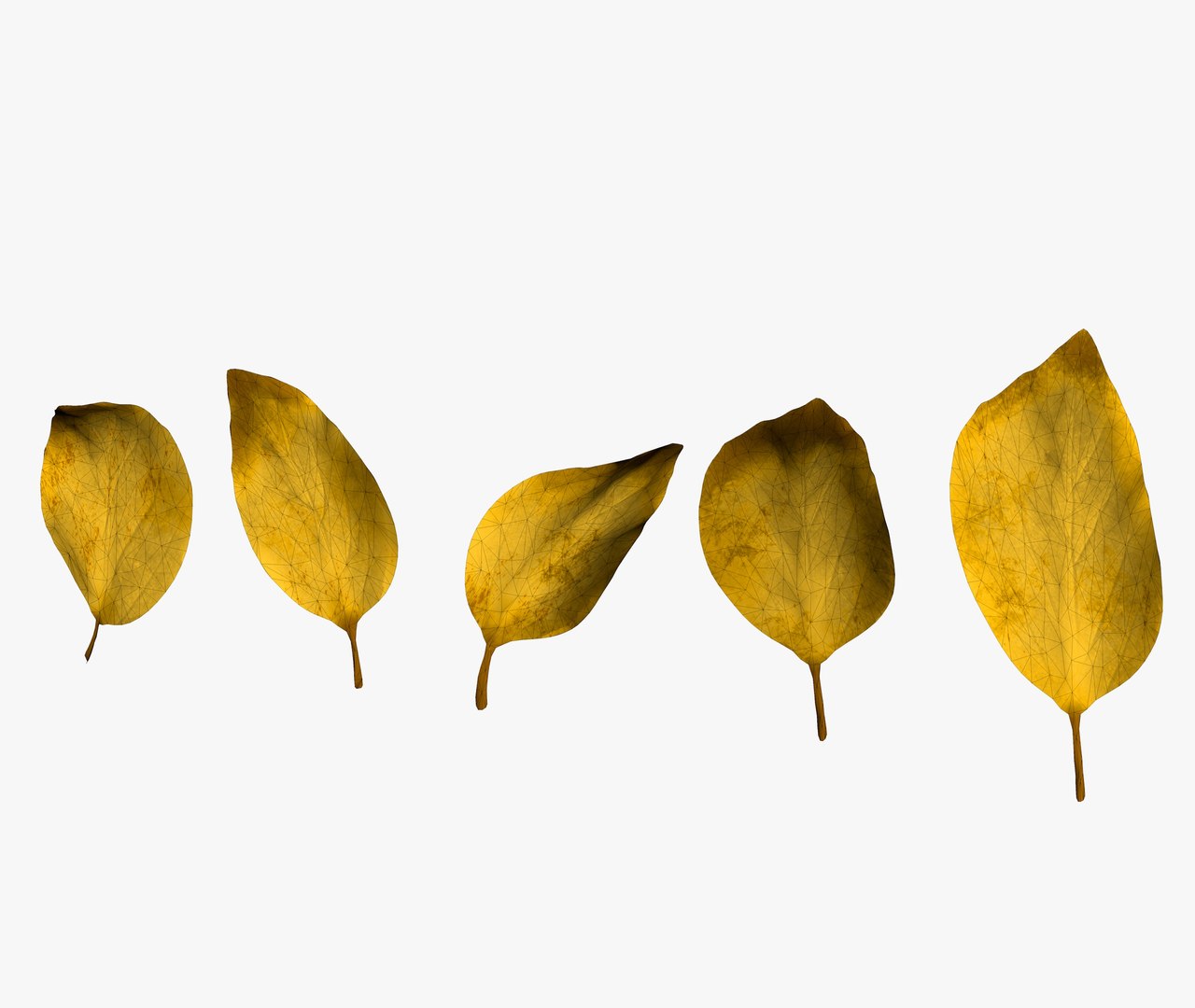 Tree leaf 3D - TurboSquid 1291257